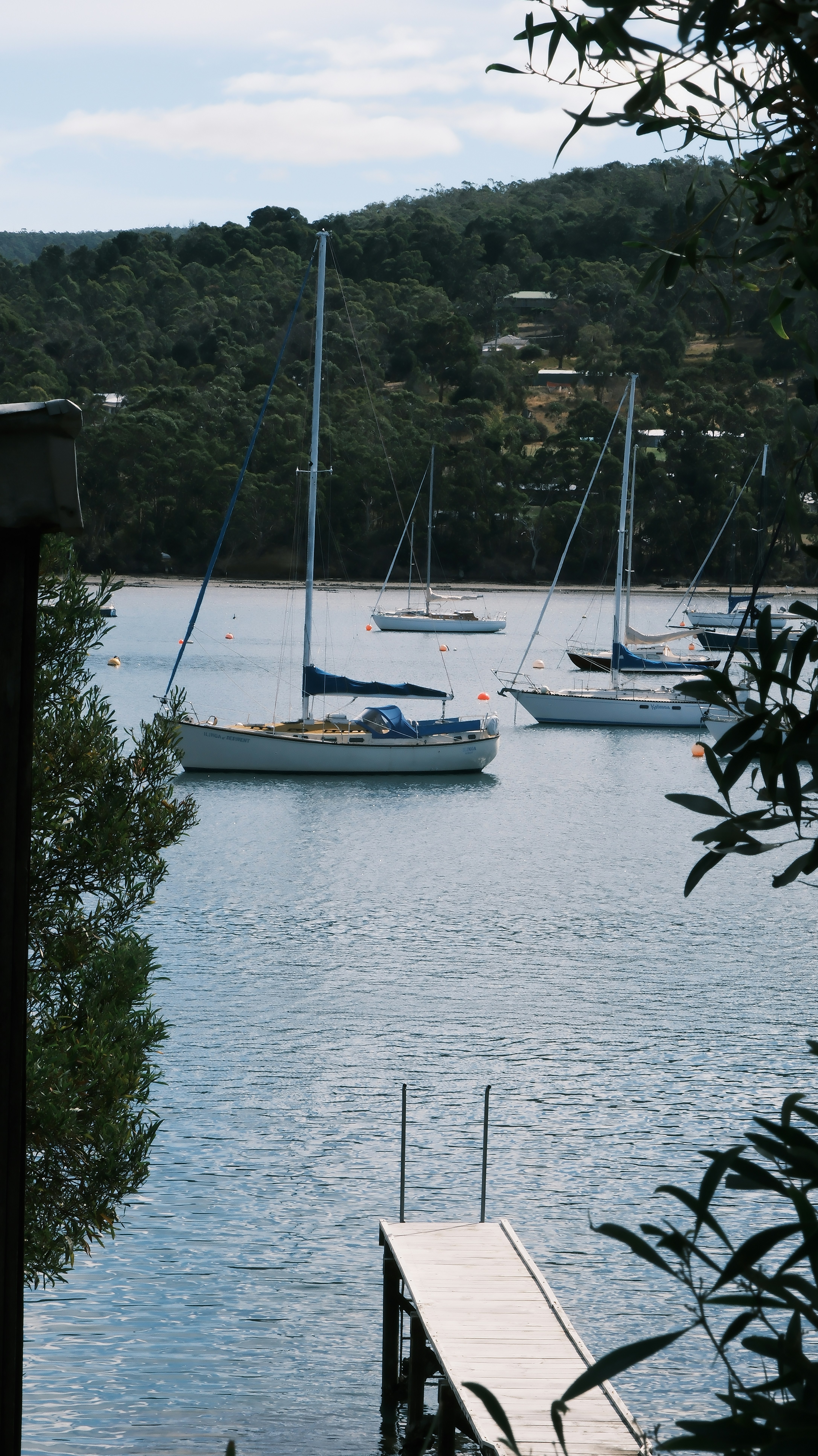 Sailing Quiet: Boats Resting on a Serene Bay