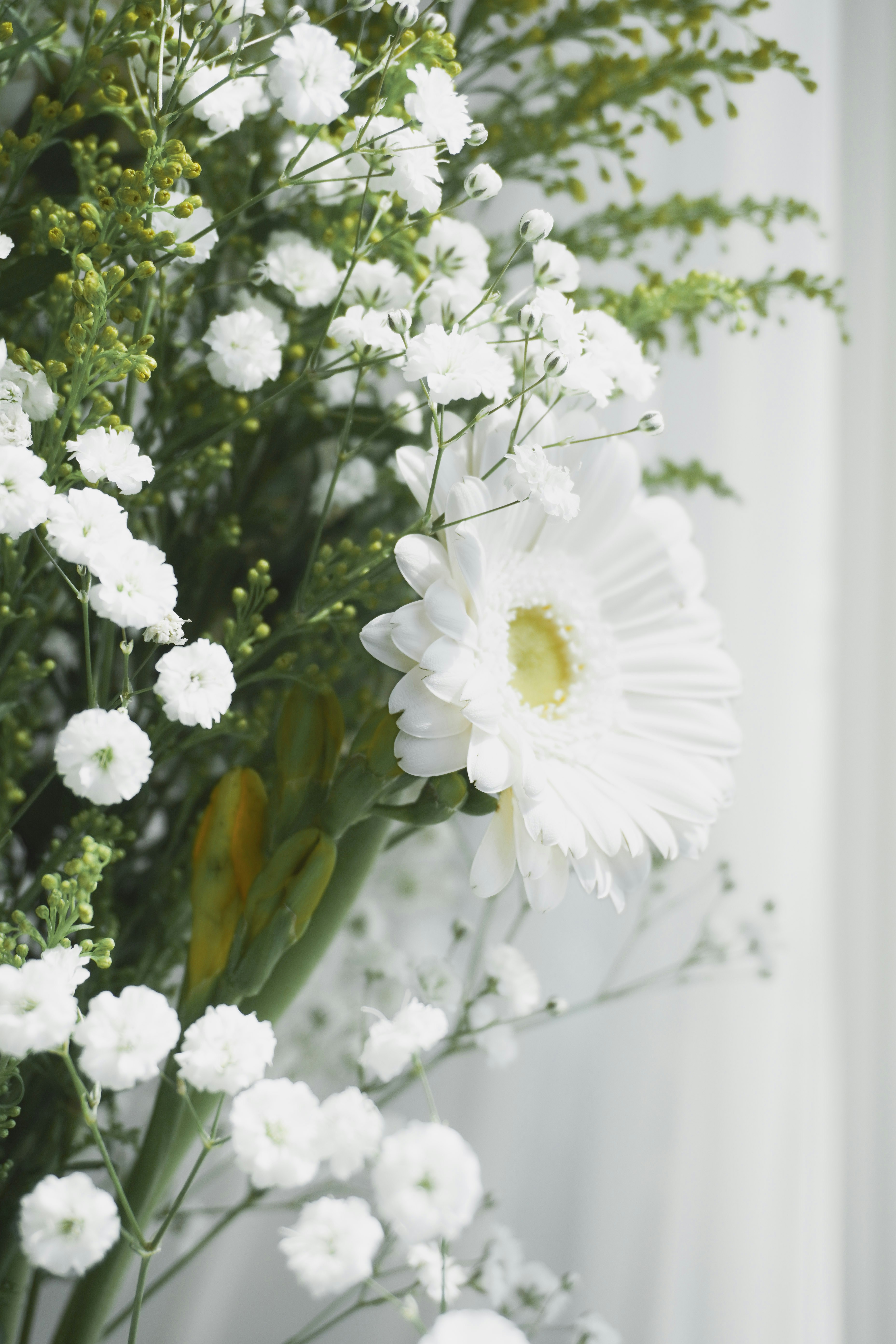 White Gerbera and Baby's Breath Bouquet in Soft Natural Light