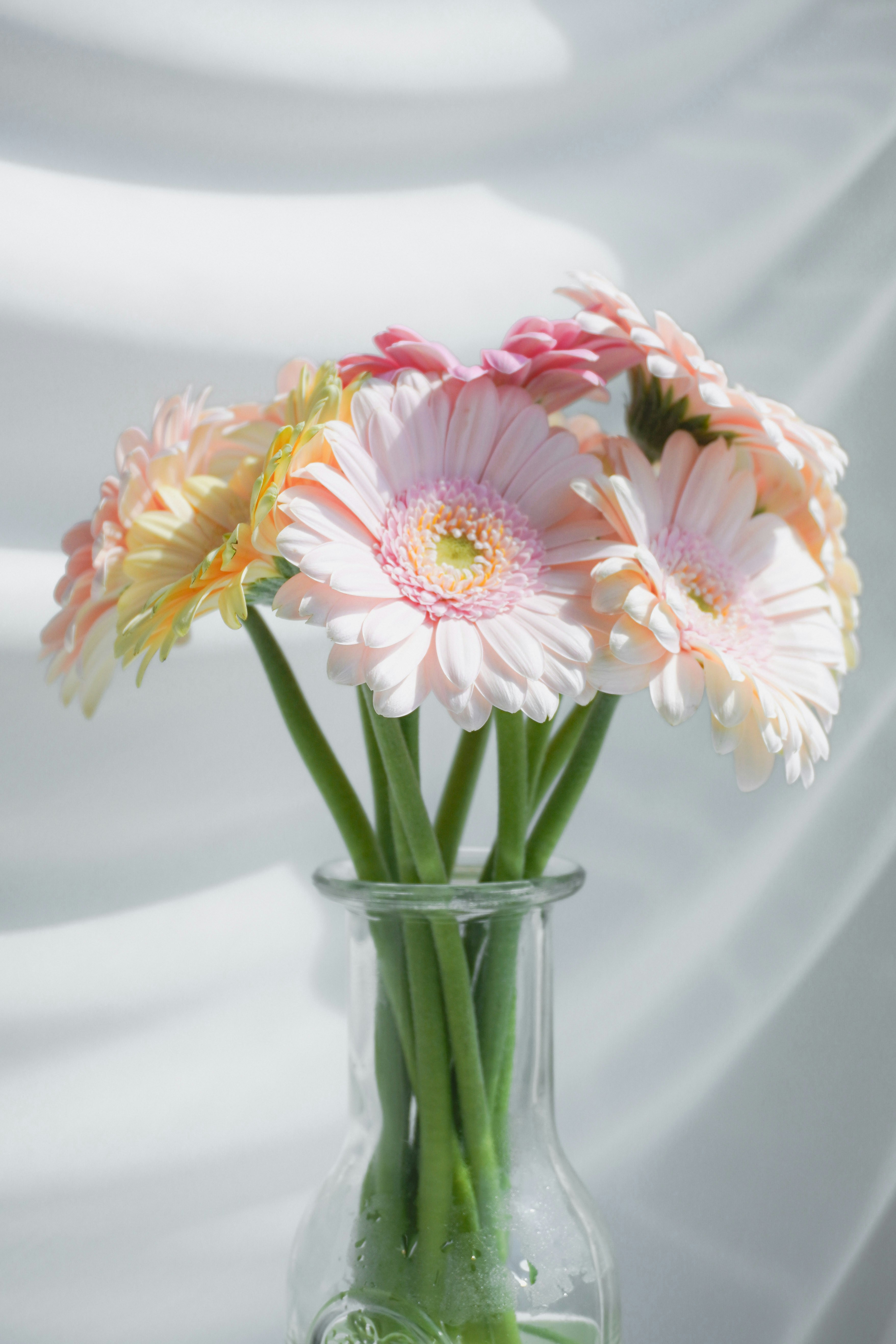 Soft Bouquet in Soft Light