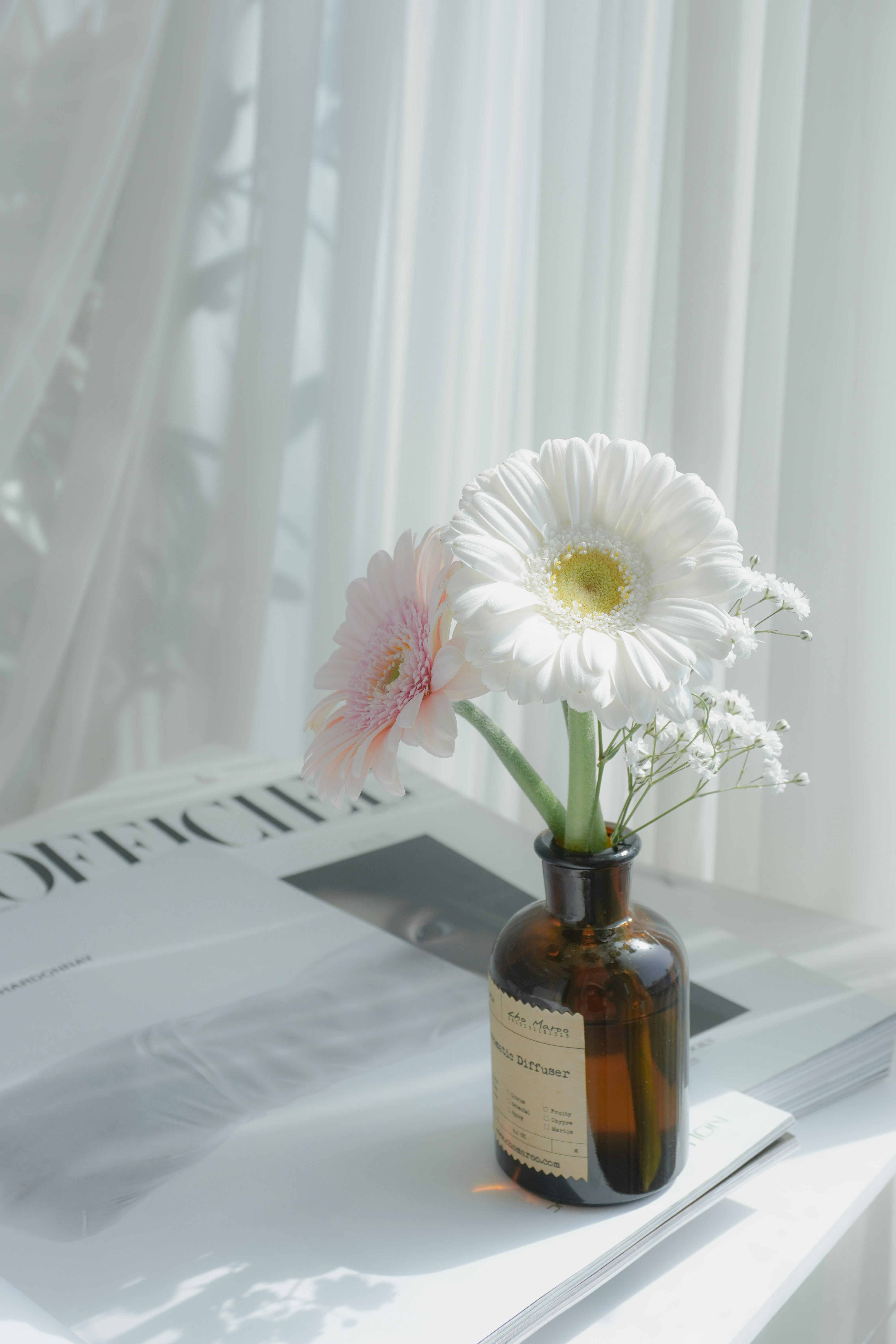 Two gerbera daisies in a vase on a table.