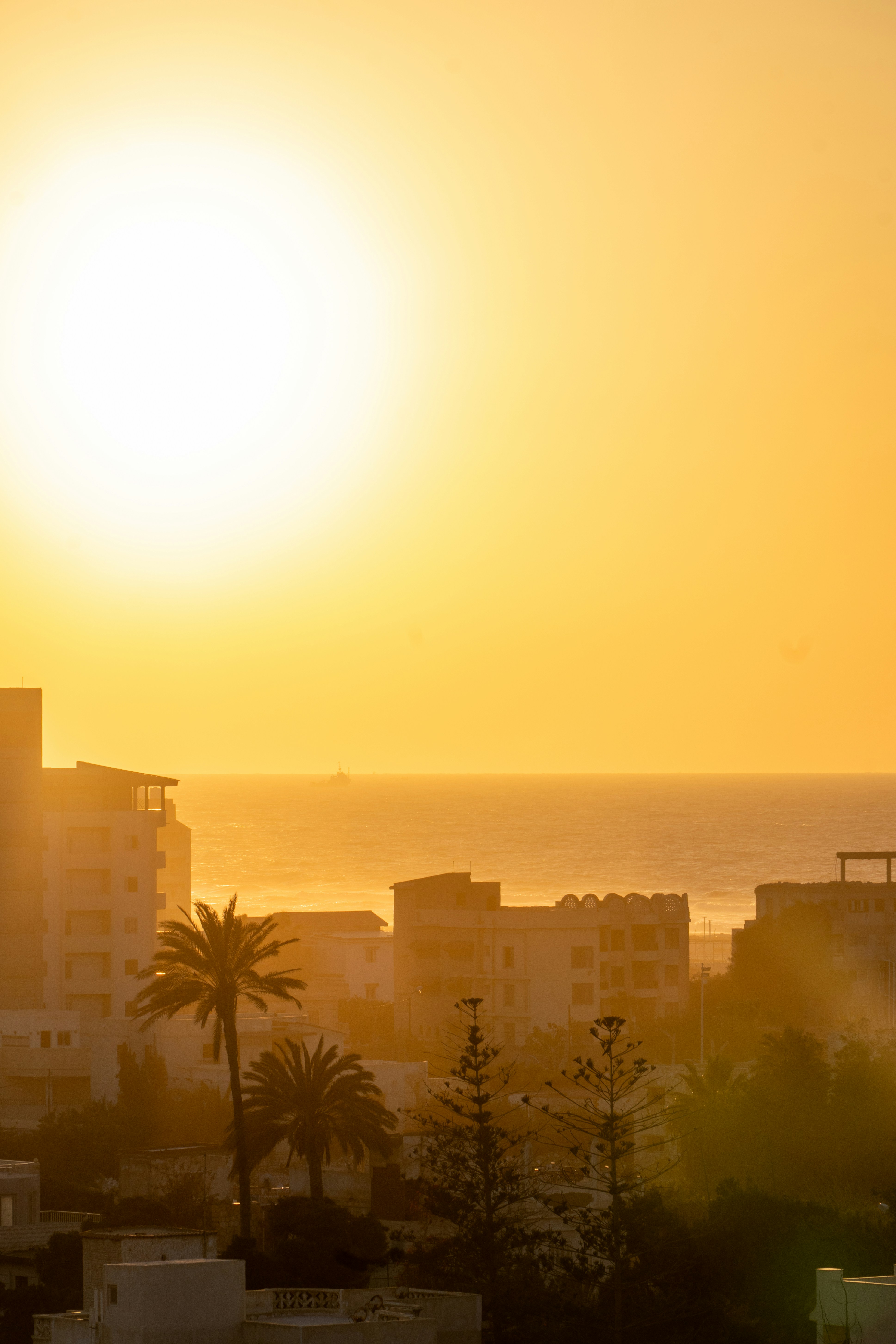 Golden Hour Over Coastal Skyline