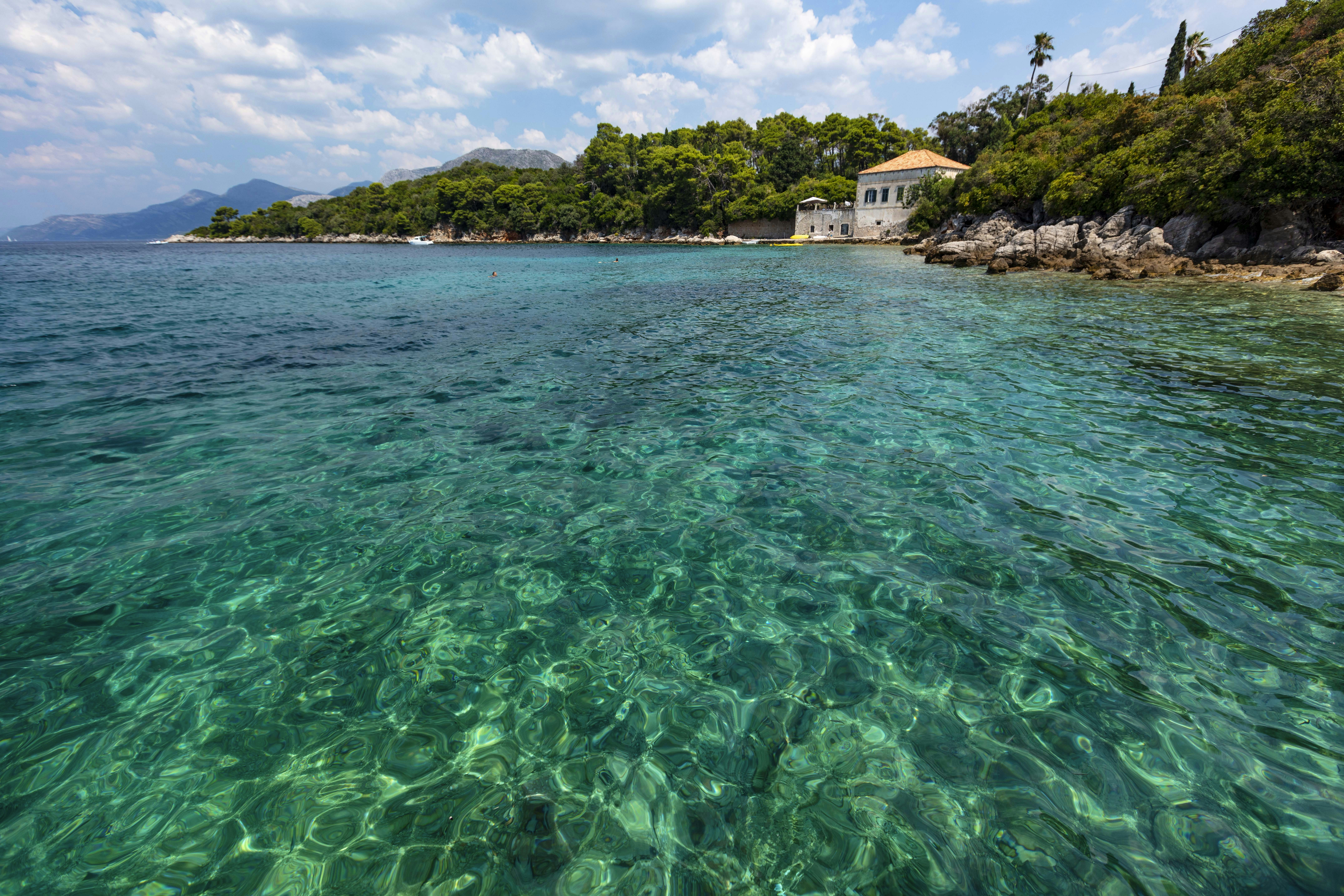 Emerald Shoreline: Crystal Waters Between a Quiet Cove and Pine-Lined Dunes