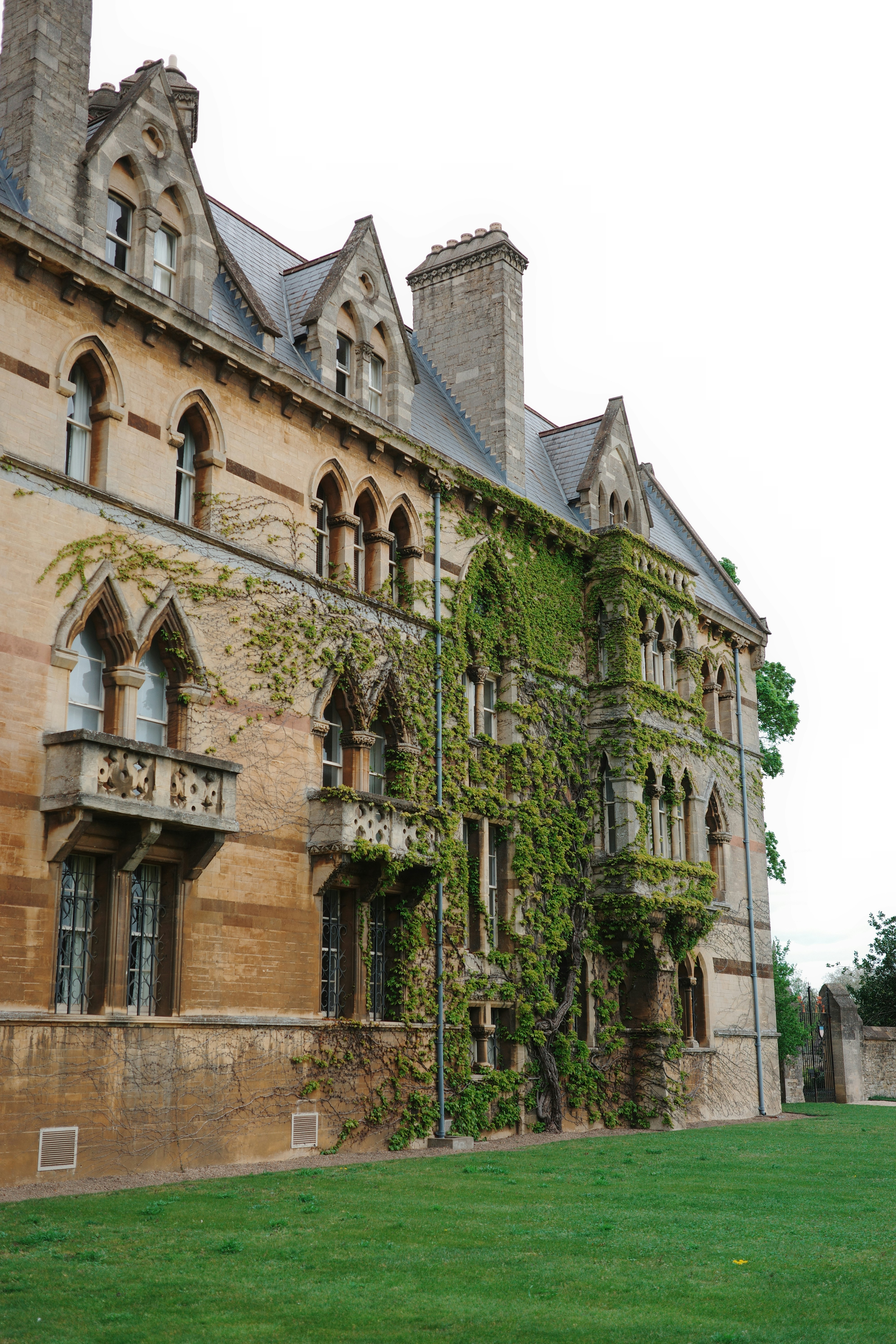 Ivy-Clad Manor Reaching for the Sky