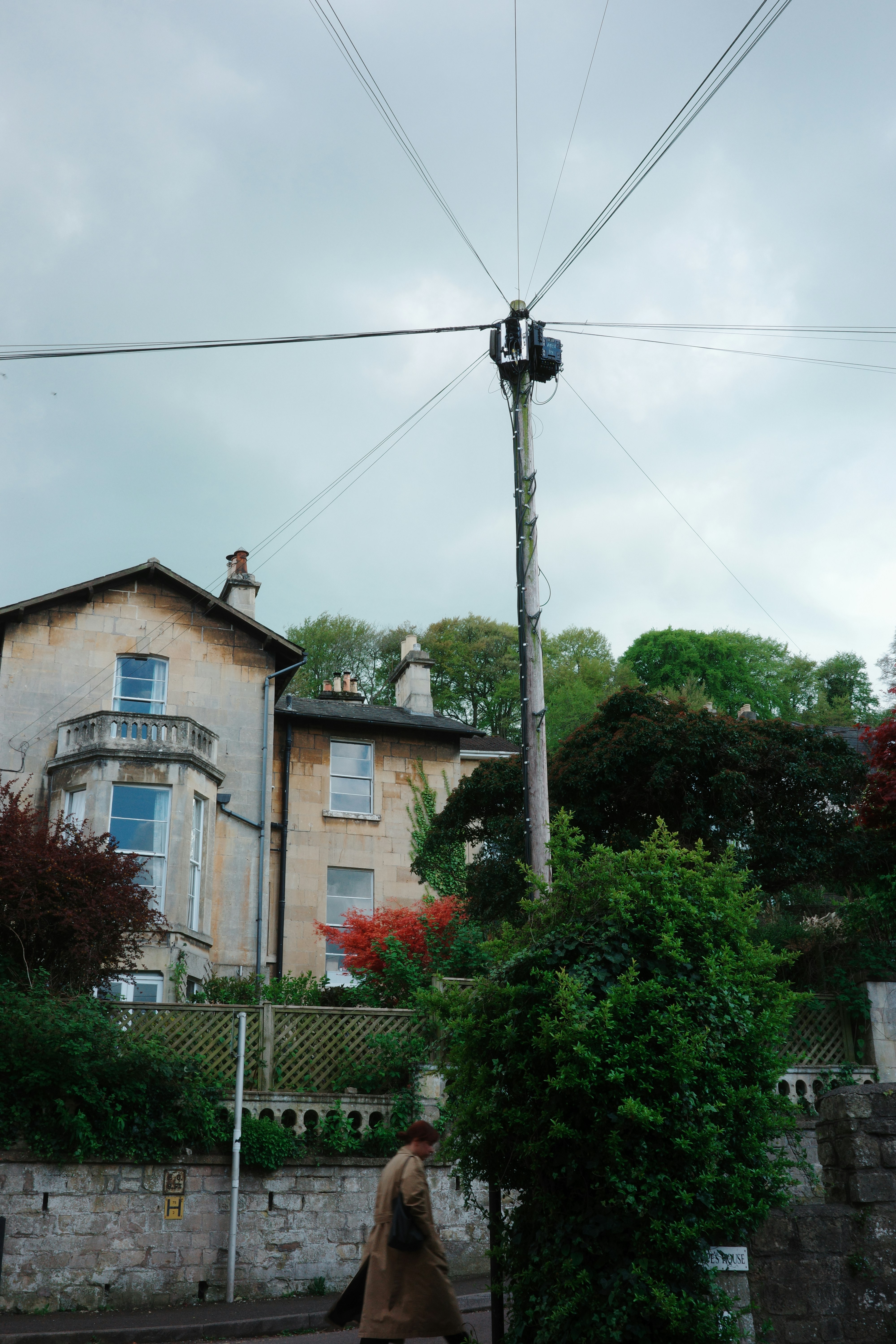 Electric Orchard Lane: A Quiet Moment Beneath a Sky of Wires