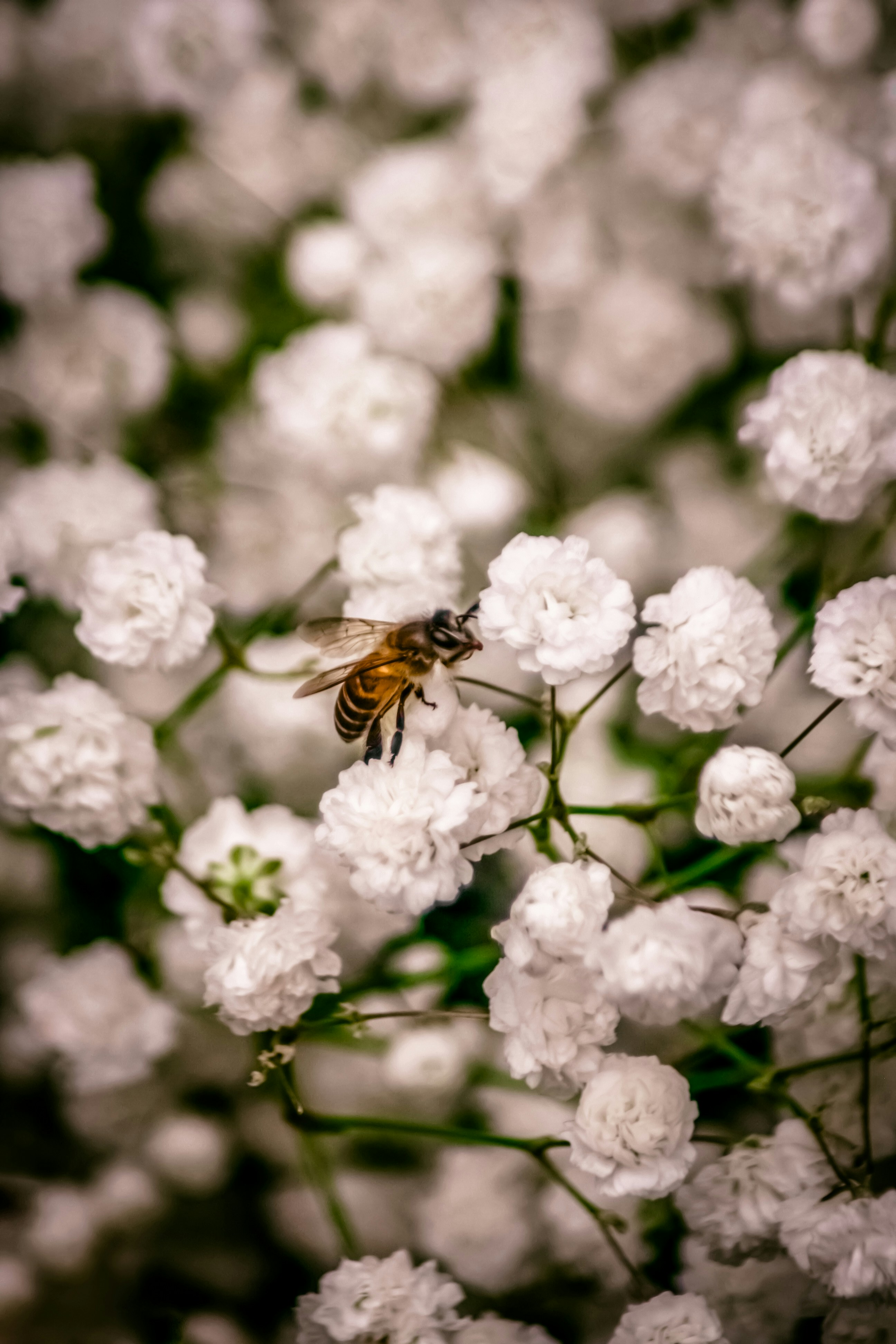 Nguyen Quan (@m_quan) | Communauté photos Unsplash