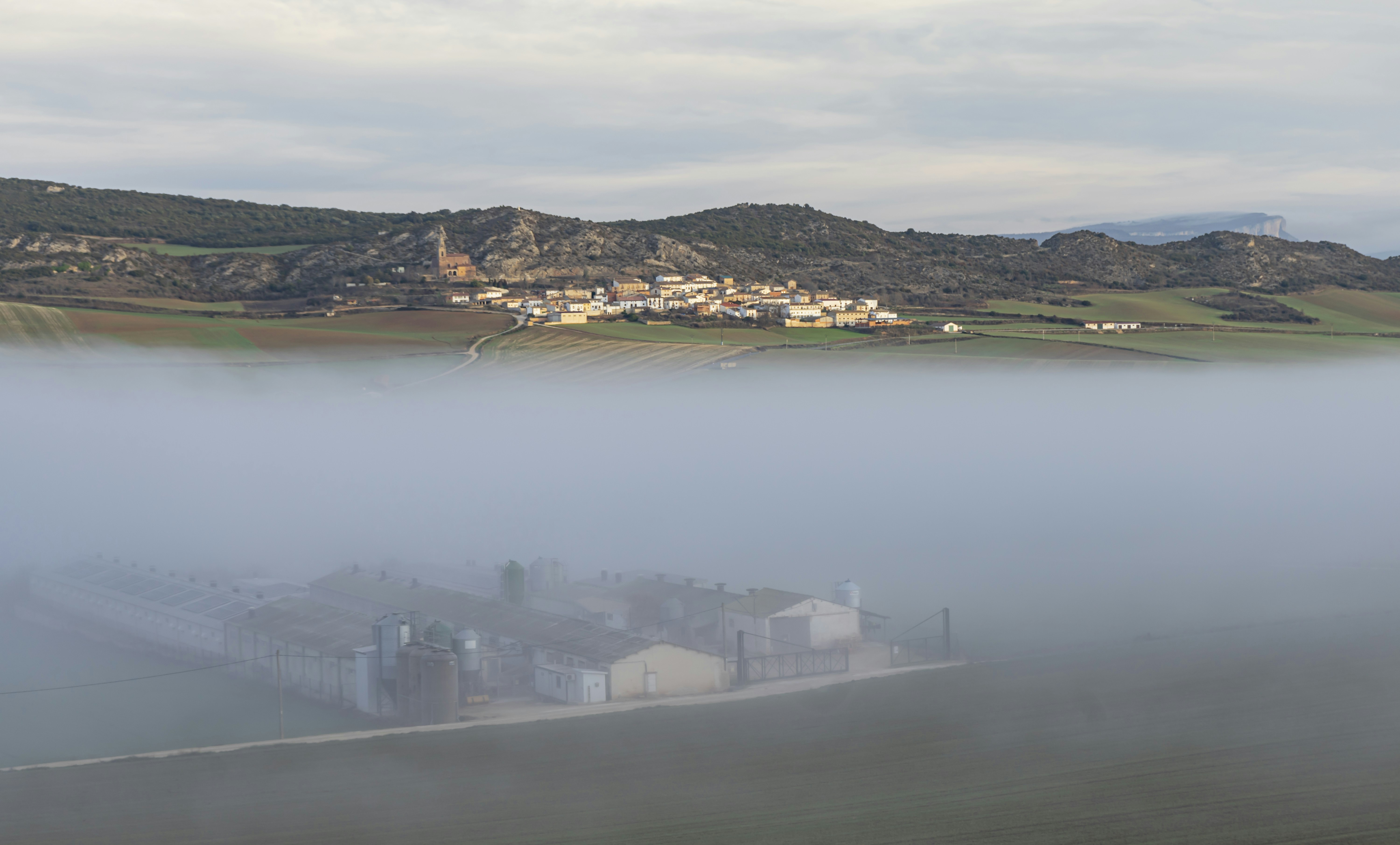 Mist-Enshrouded Ridge: Quiet Village Above a Hidden Harbor