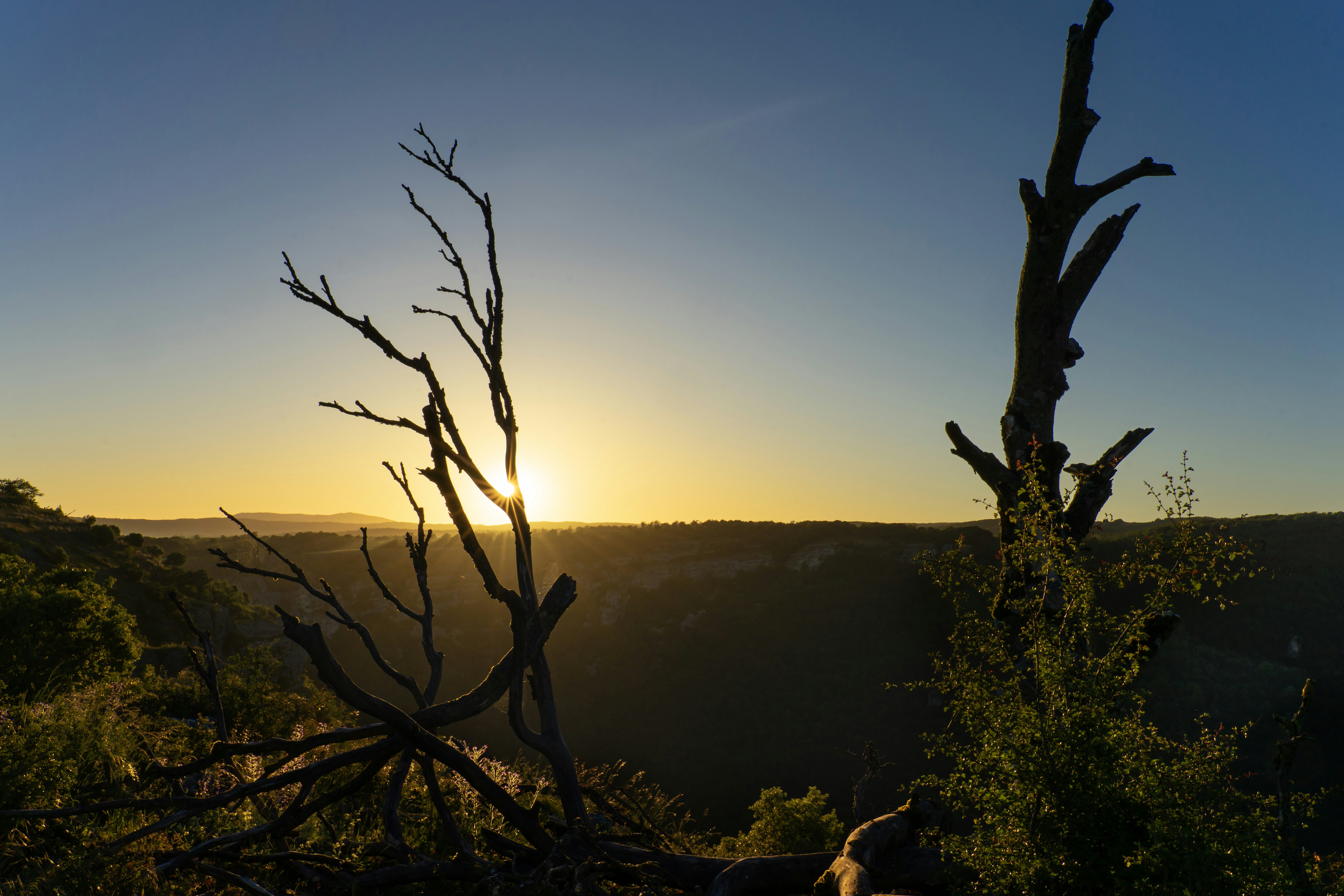 Sunlit Silhouettes over a Vale at Dusk
