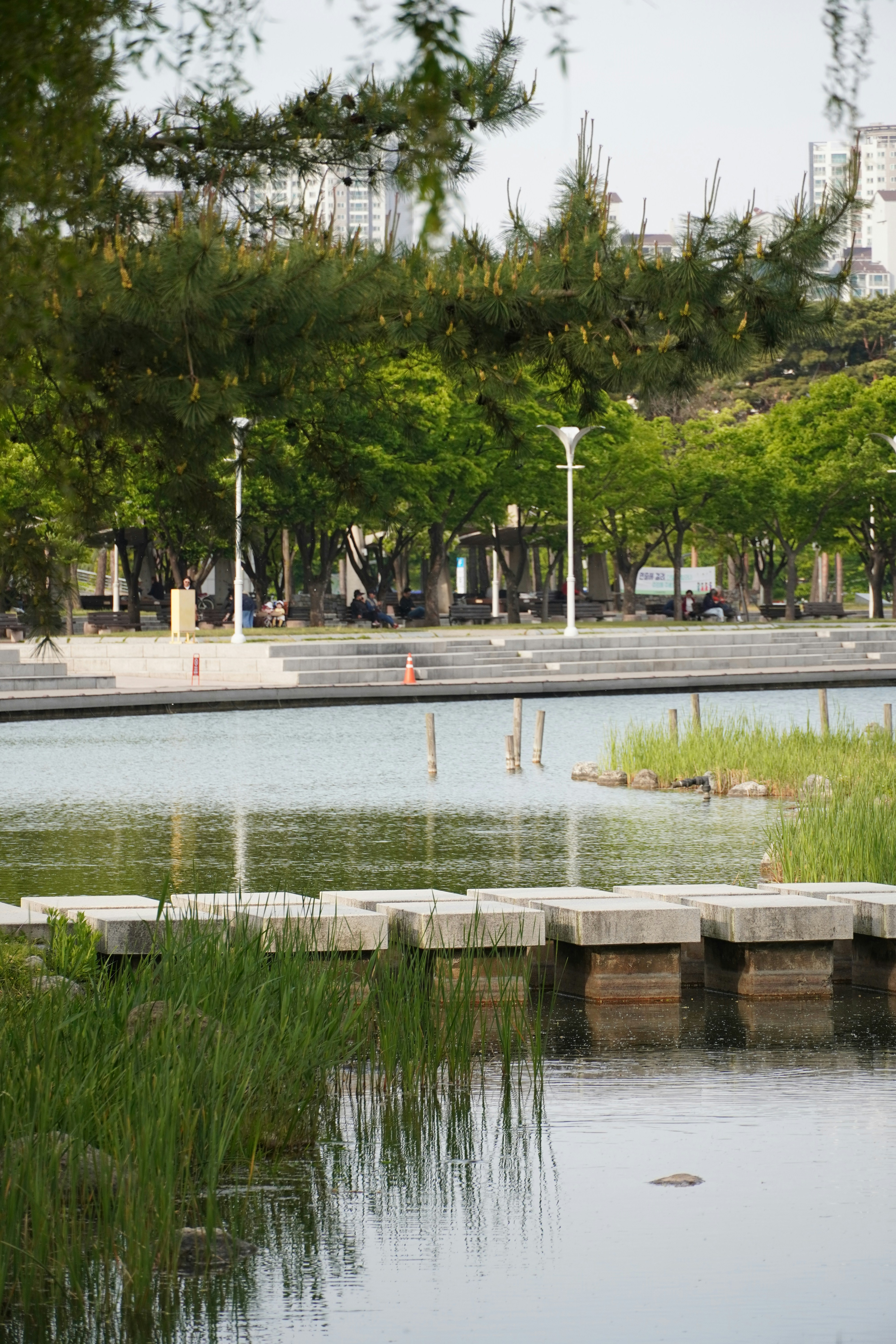 Urban Oasis by the Water: A Serene Park Morning