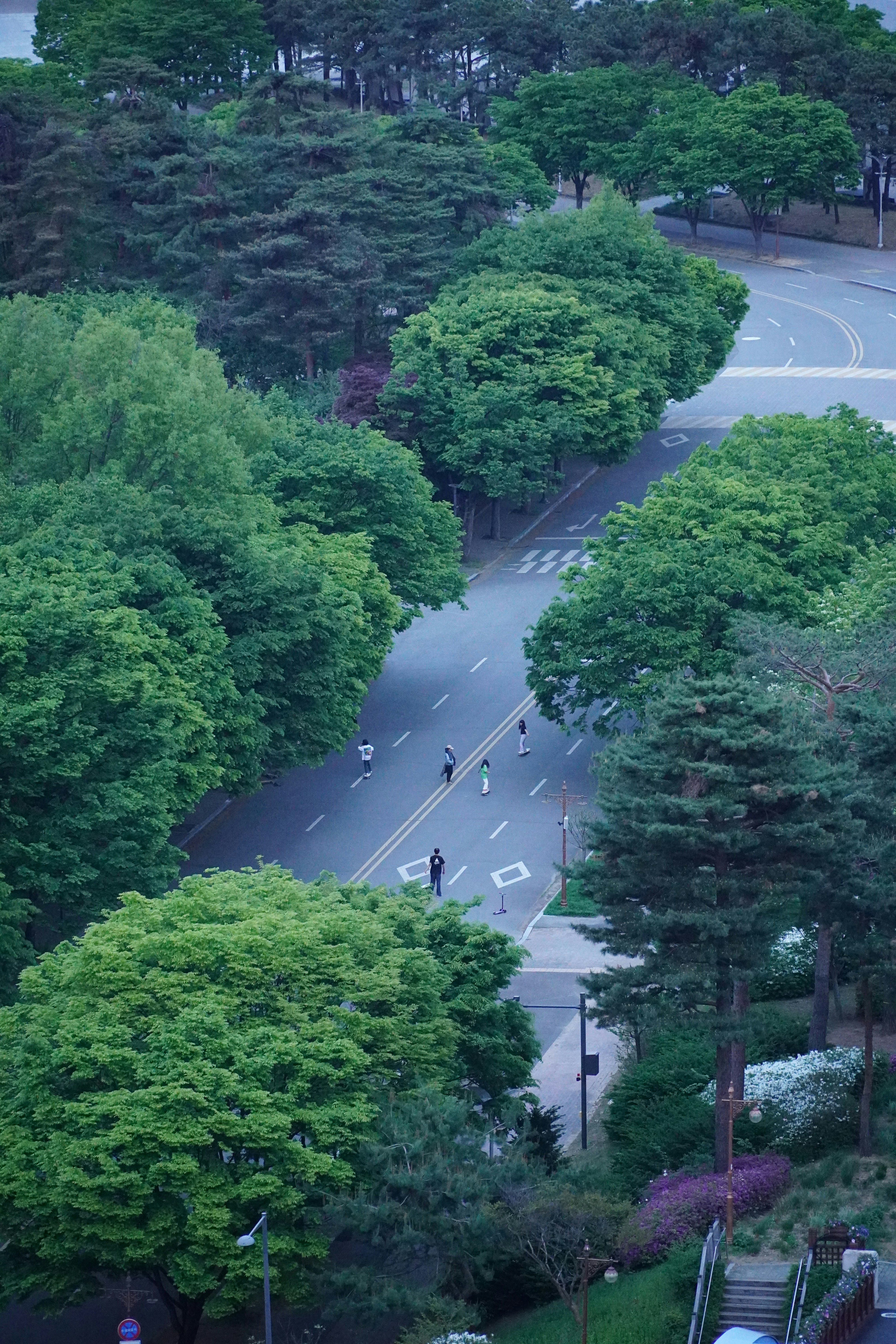 A Quiet Stroll Through Green Vale