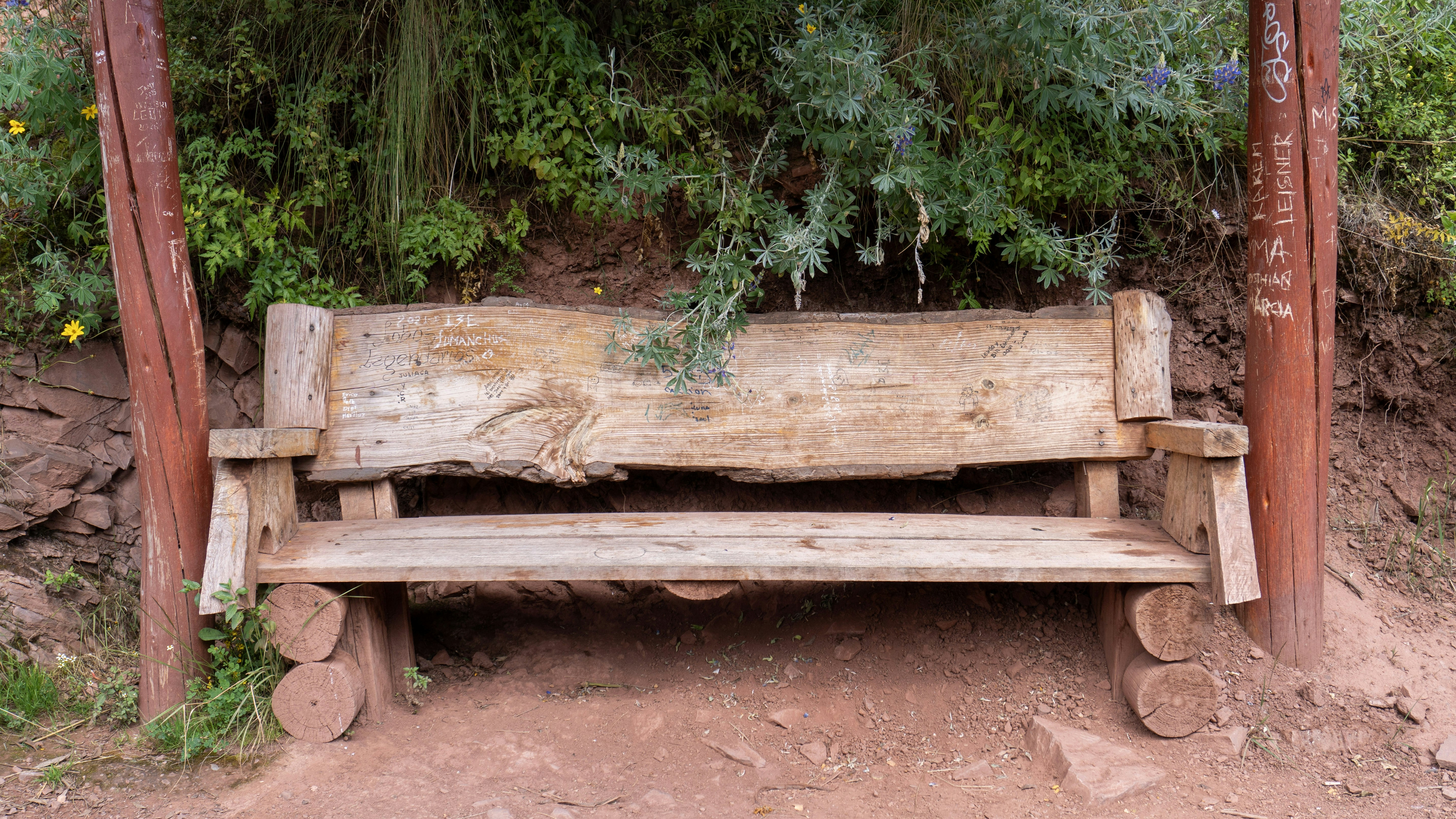 Weathered Woodland Bench Amid Red Earth and Greenery