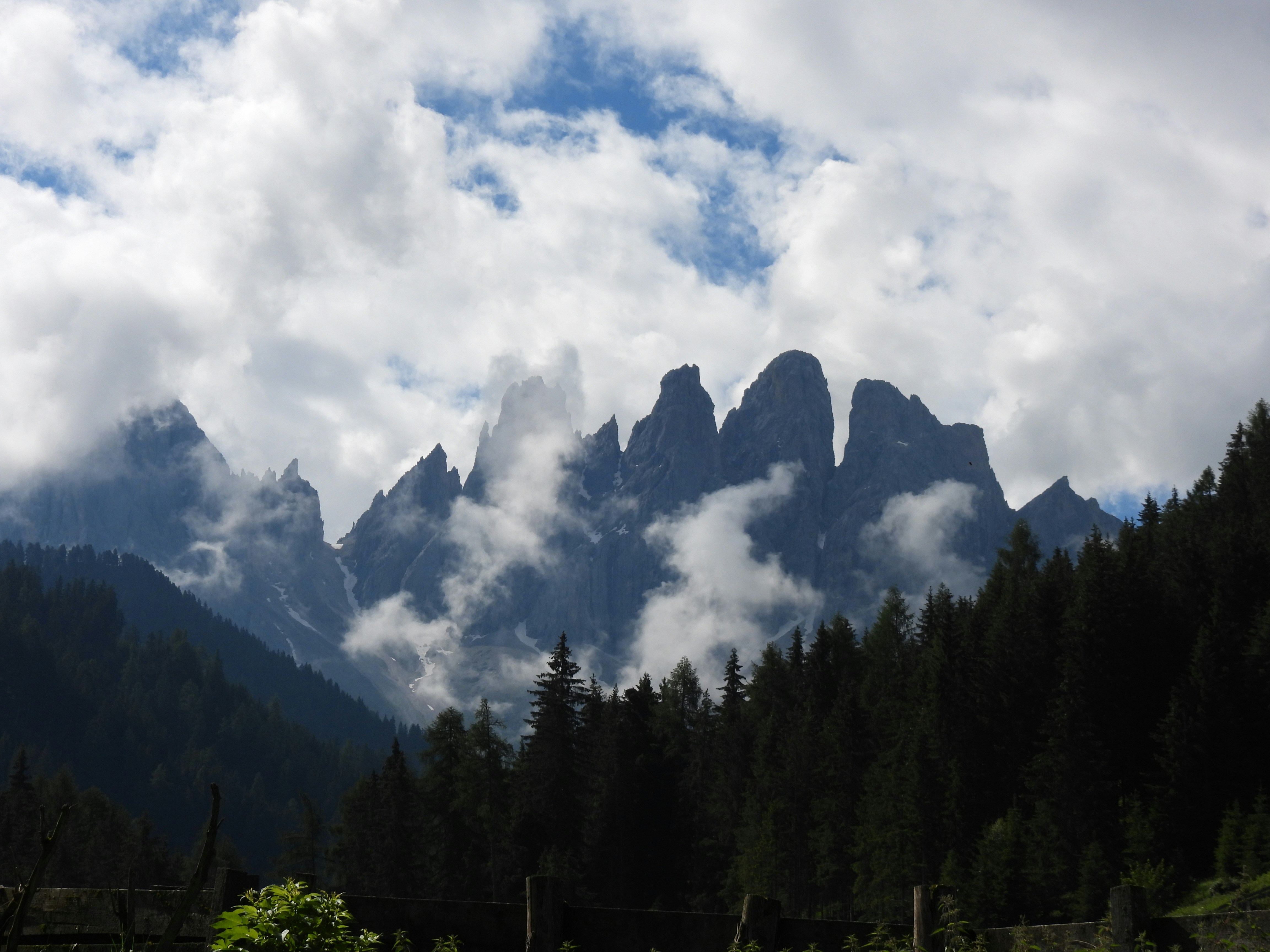 Cloud-veiled Peaks: A Forested Foreground Framing the Dolomitic Titans