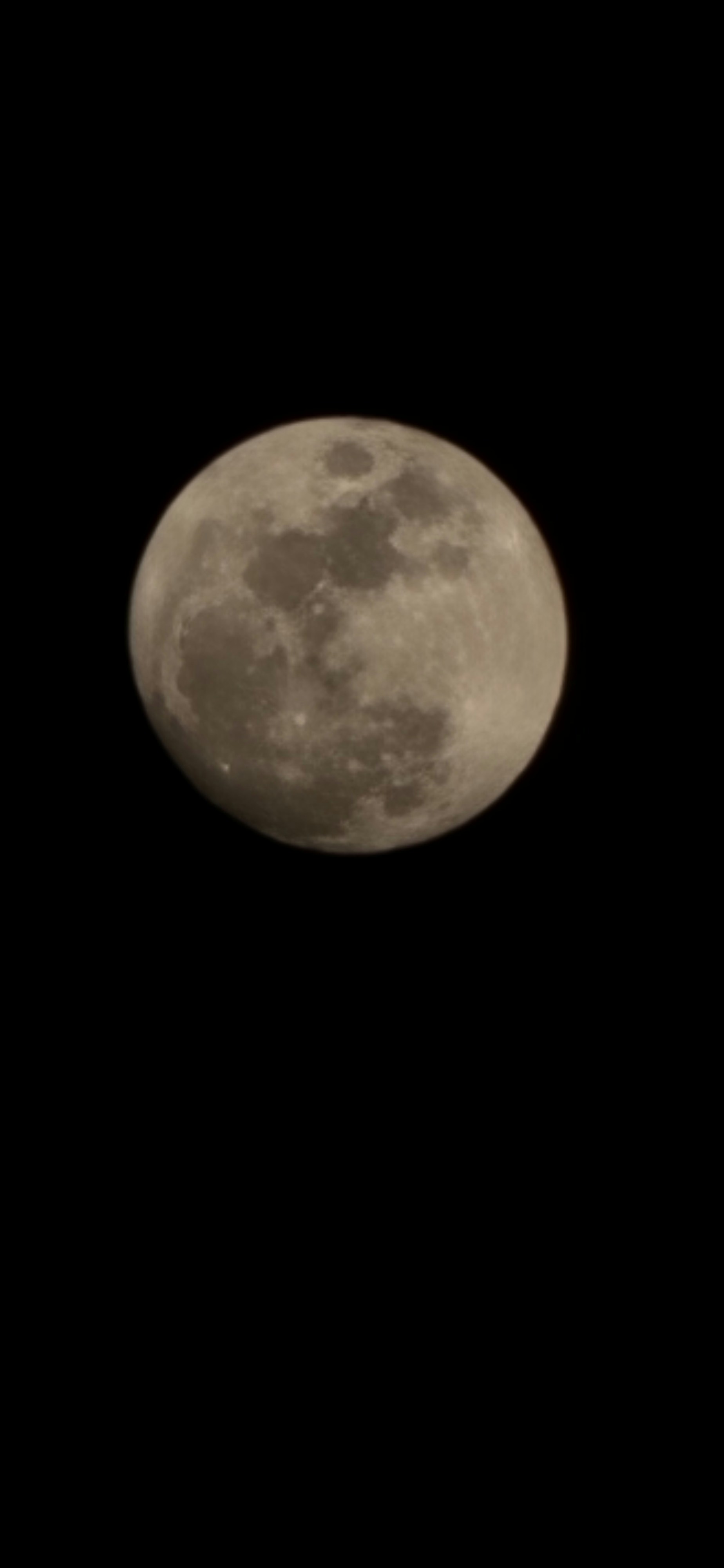 Lone Moon in Velvet Night