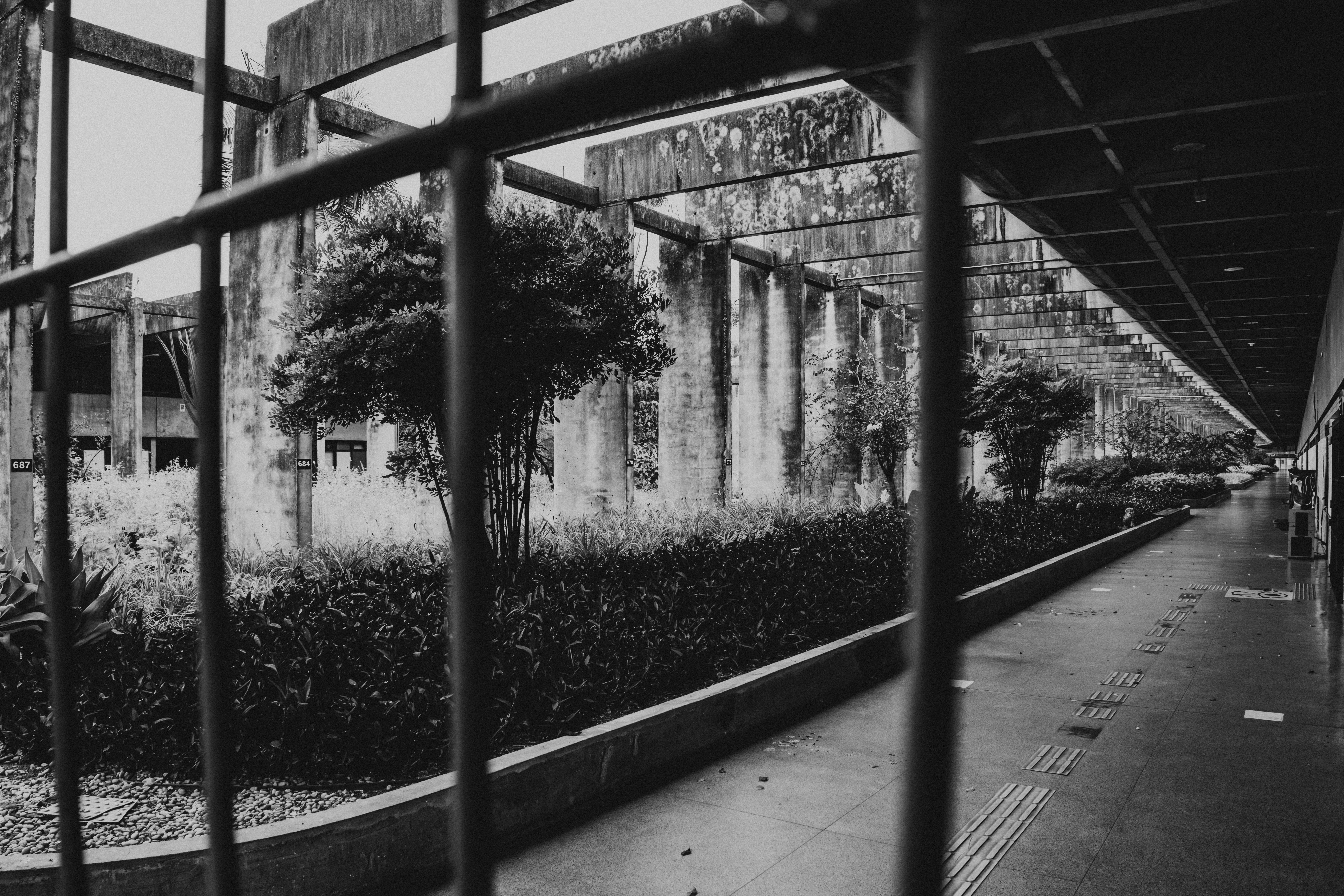 Railings in Perspective: A Quiet Corridor Framed by Urban Steel