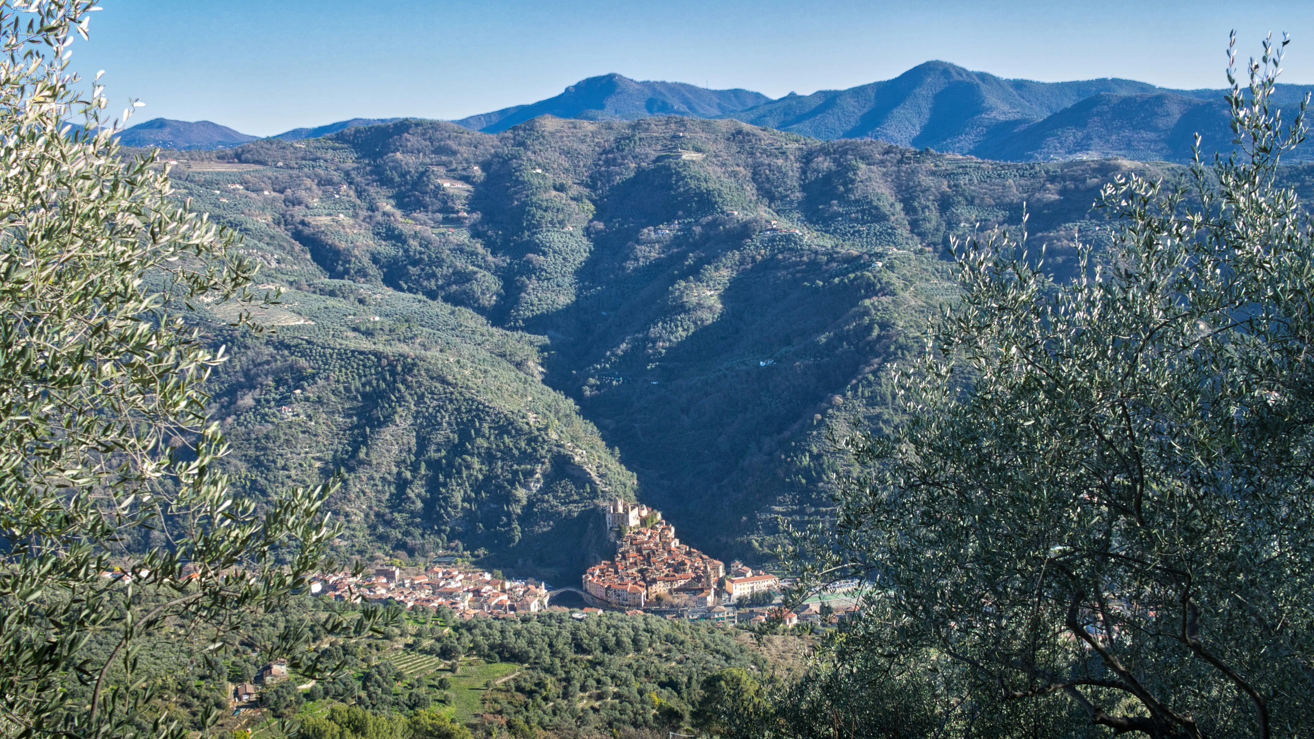 Sunlit Valley Between Olive-Clad Hills