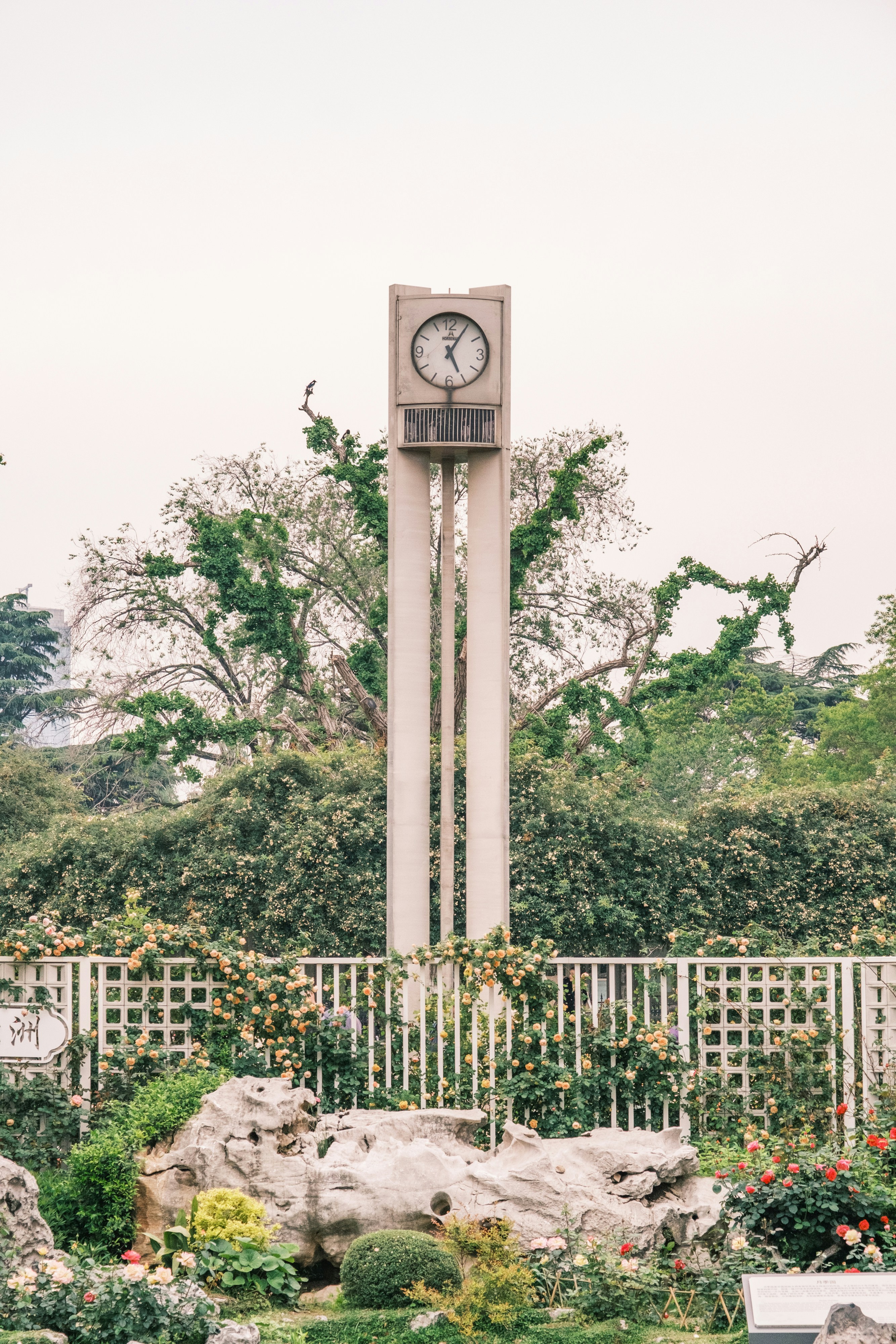 Central Clock Tower in a Lush Garden Oasis