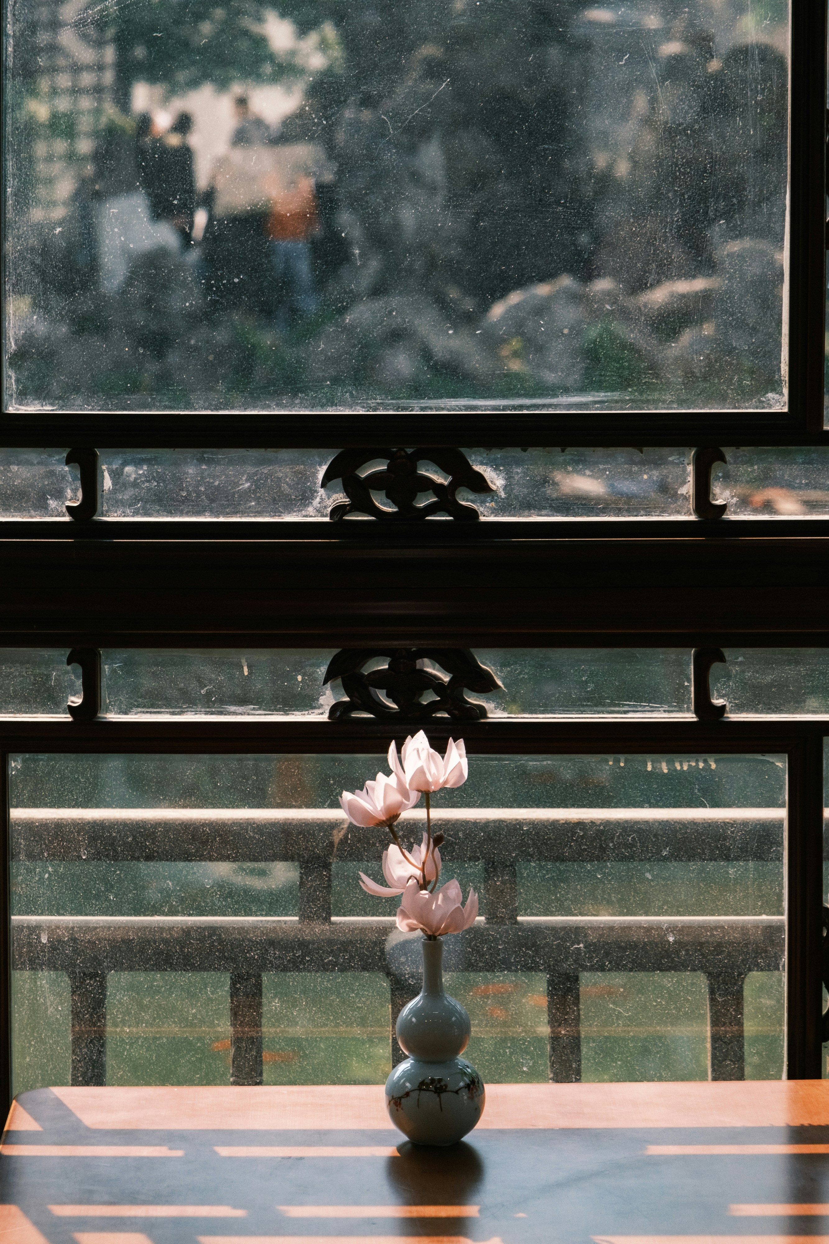 Soft Pink Bloom in a Quiet Window Still Life