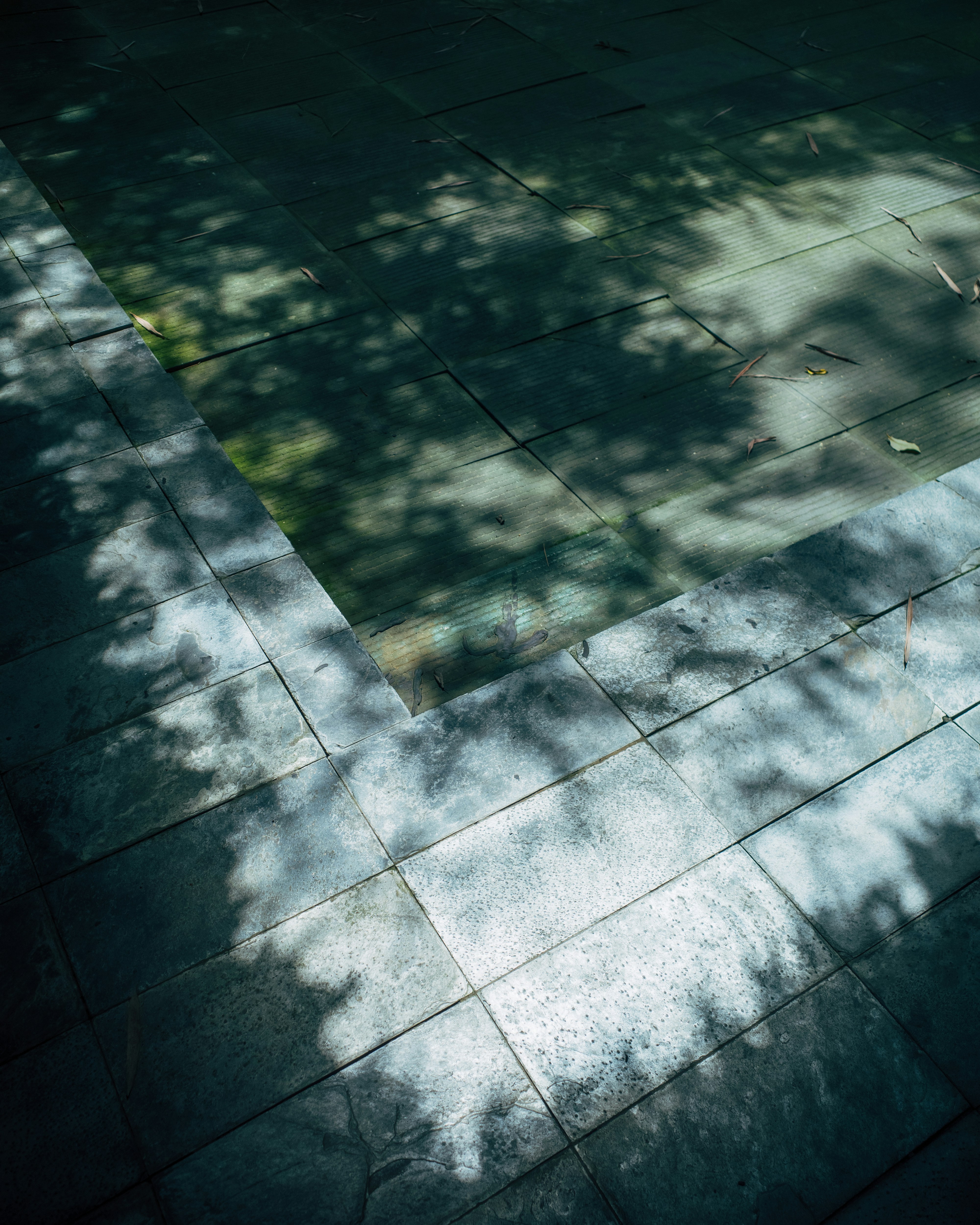 Shadowed Terrace: Dappled Light Paints the Stone Steps
