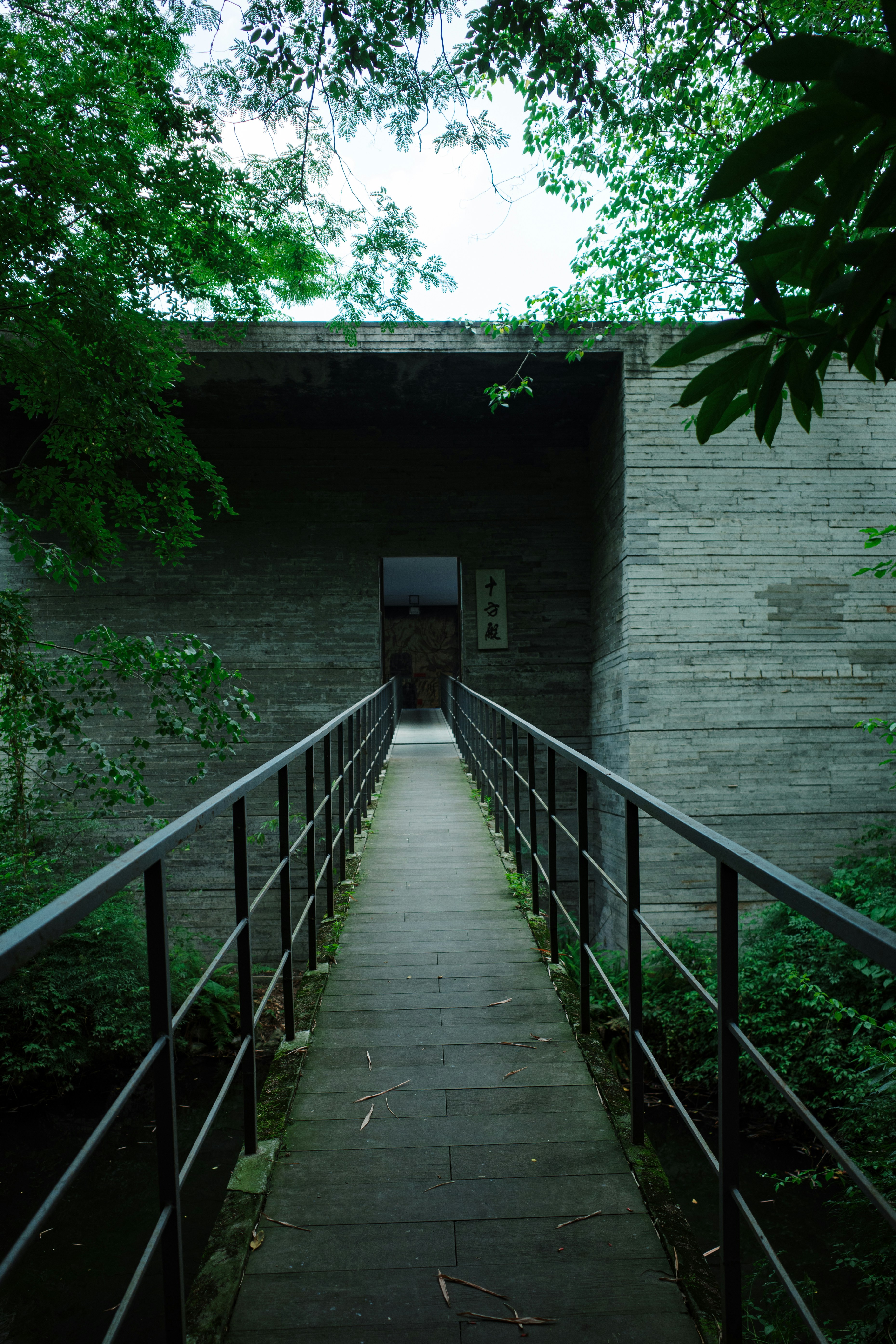 Bridge to the Quiet Gate: A Surreal Walk Through Green Silence