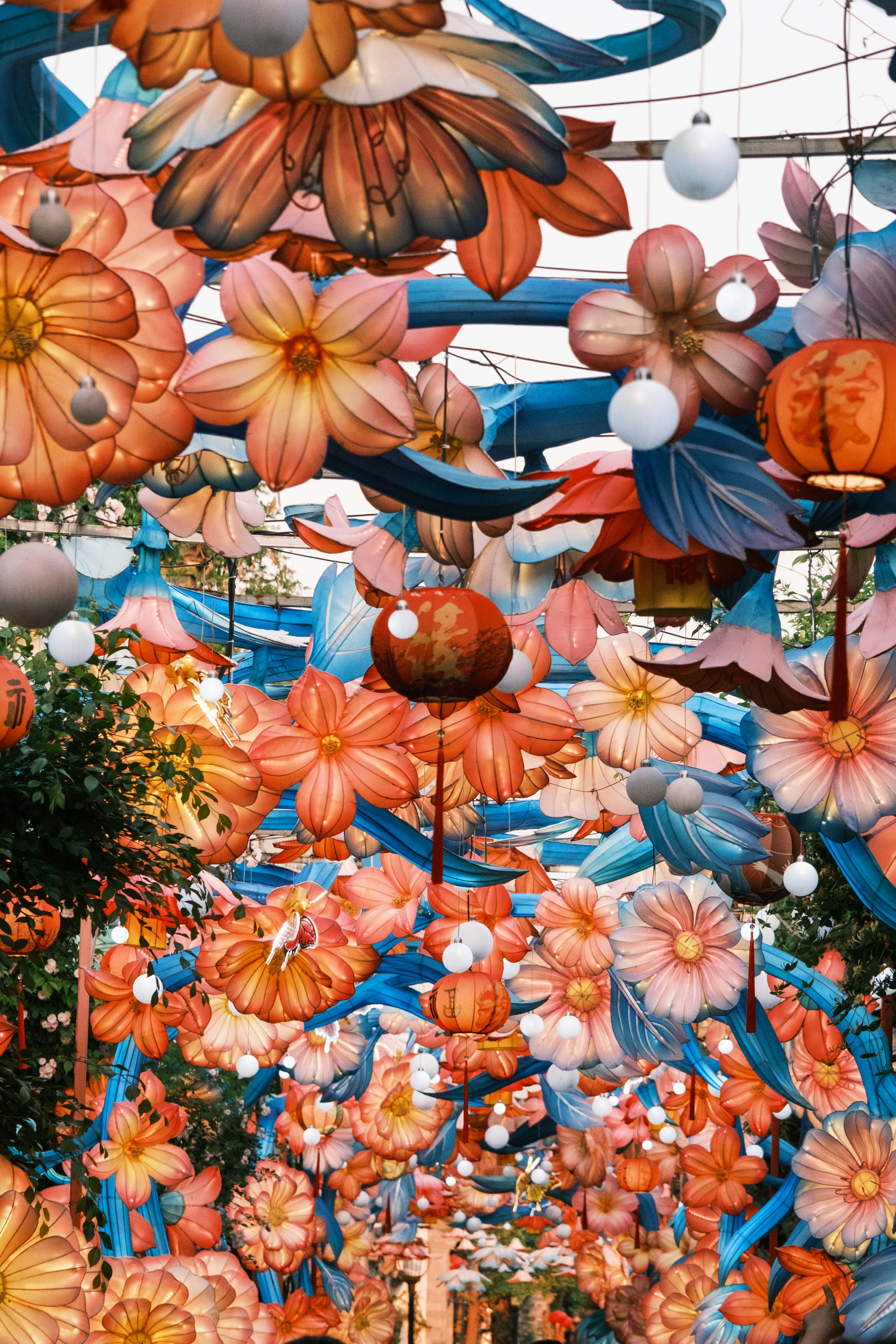 Petals in the Sky: A Lantern Garden Under Colorful Canopies
