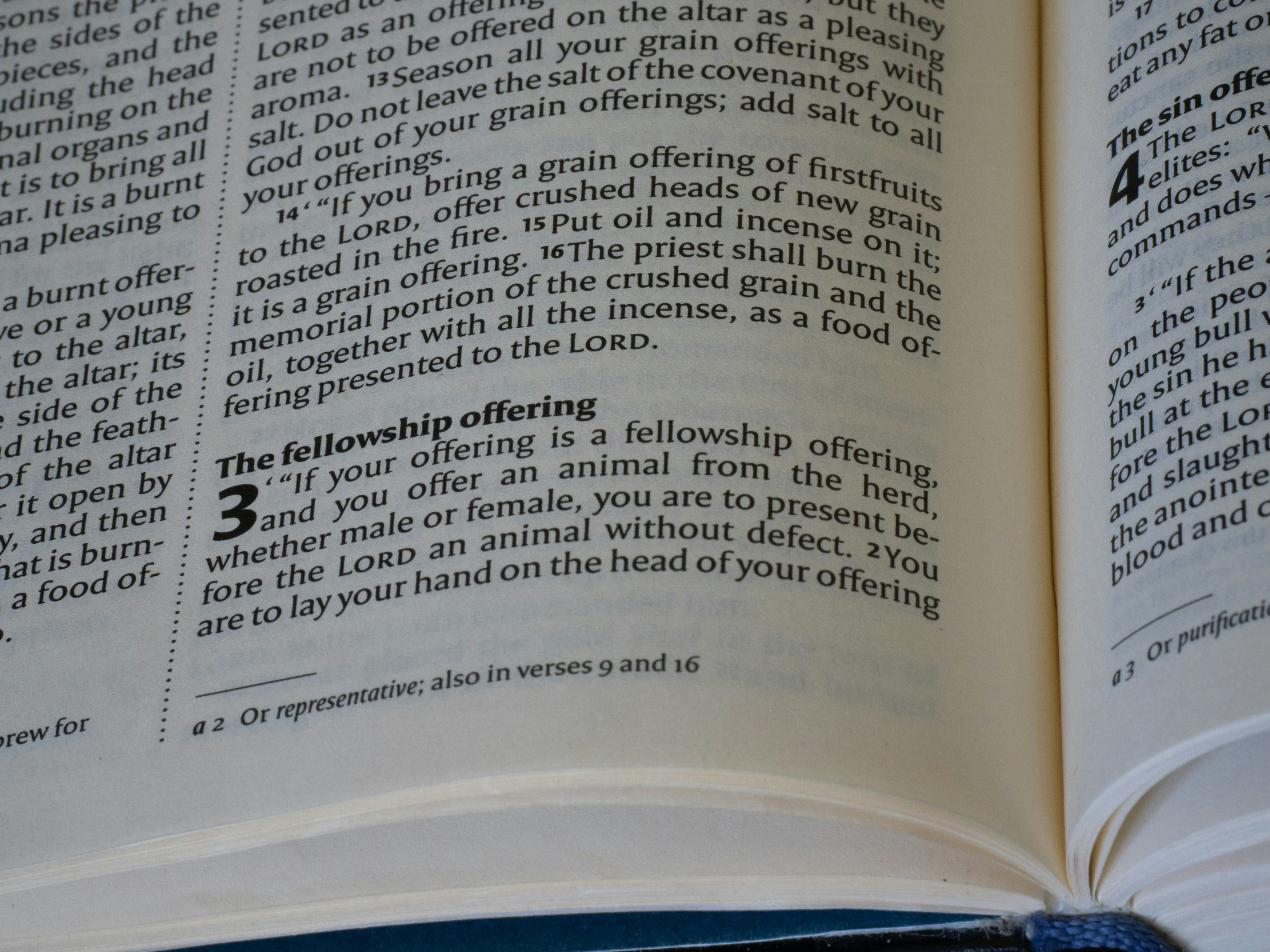 A Quiet Moment of Reflection: The Texts and Margins