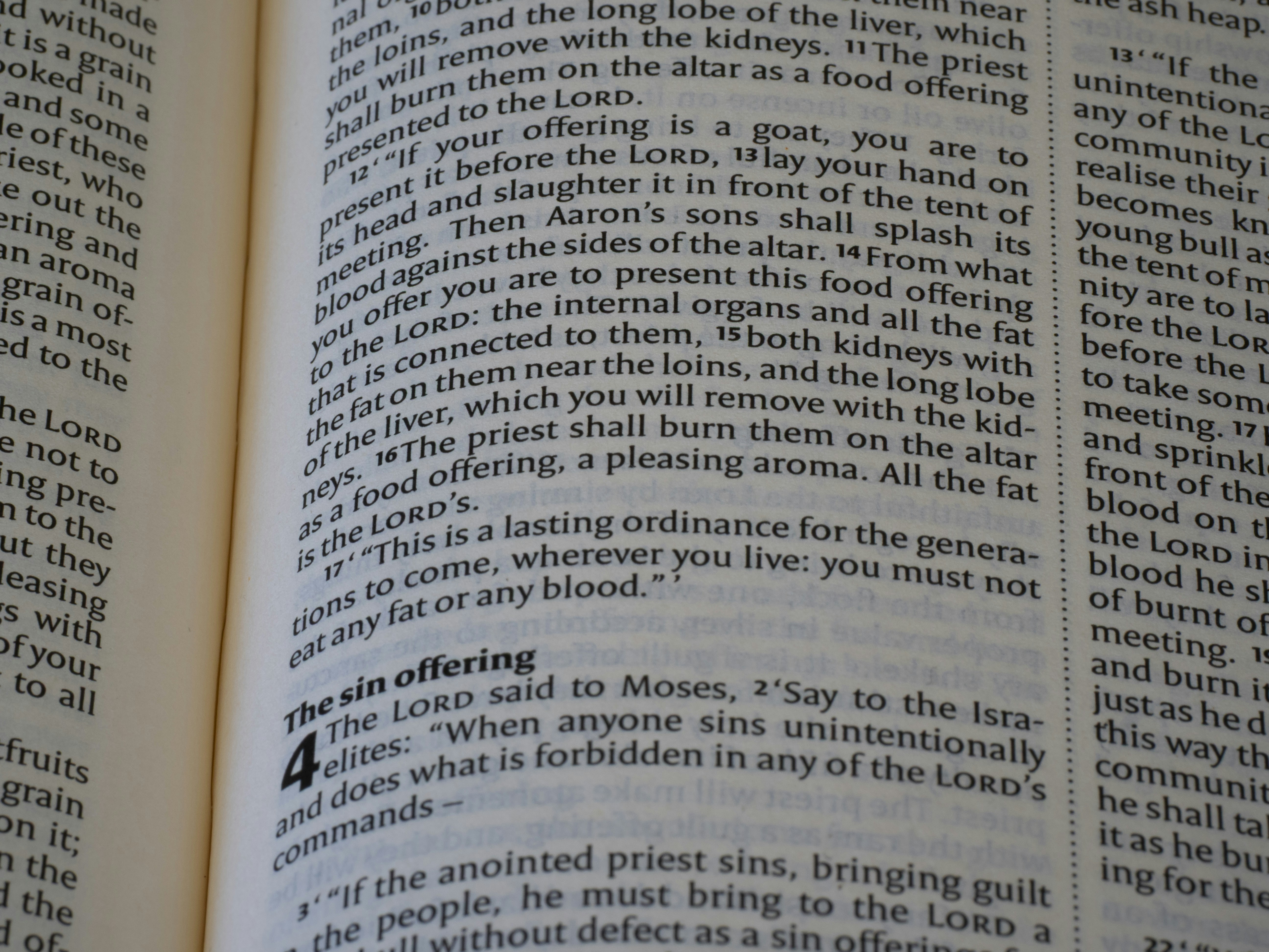 Ink and Insight: A Close-Up of Scriptural Text in Focus