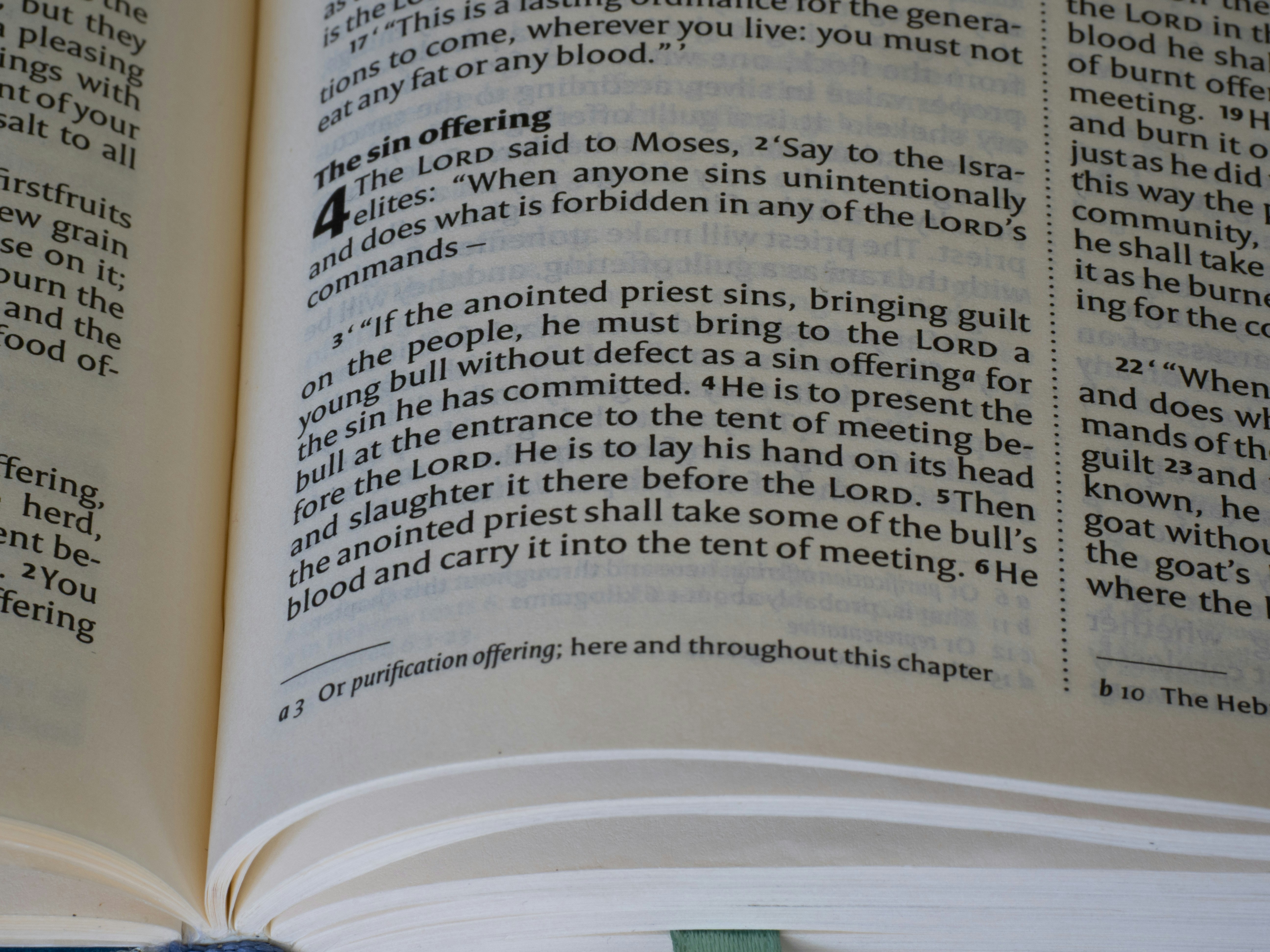 Close-Cropped Bible Pages in a Warm Library Light