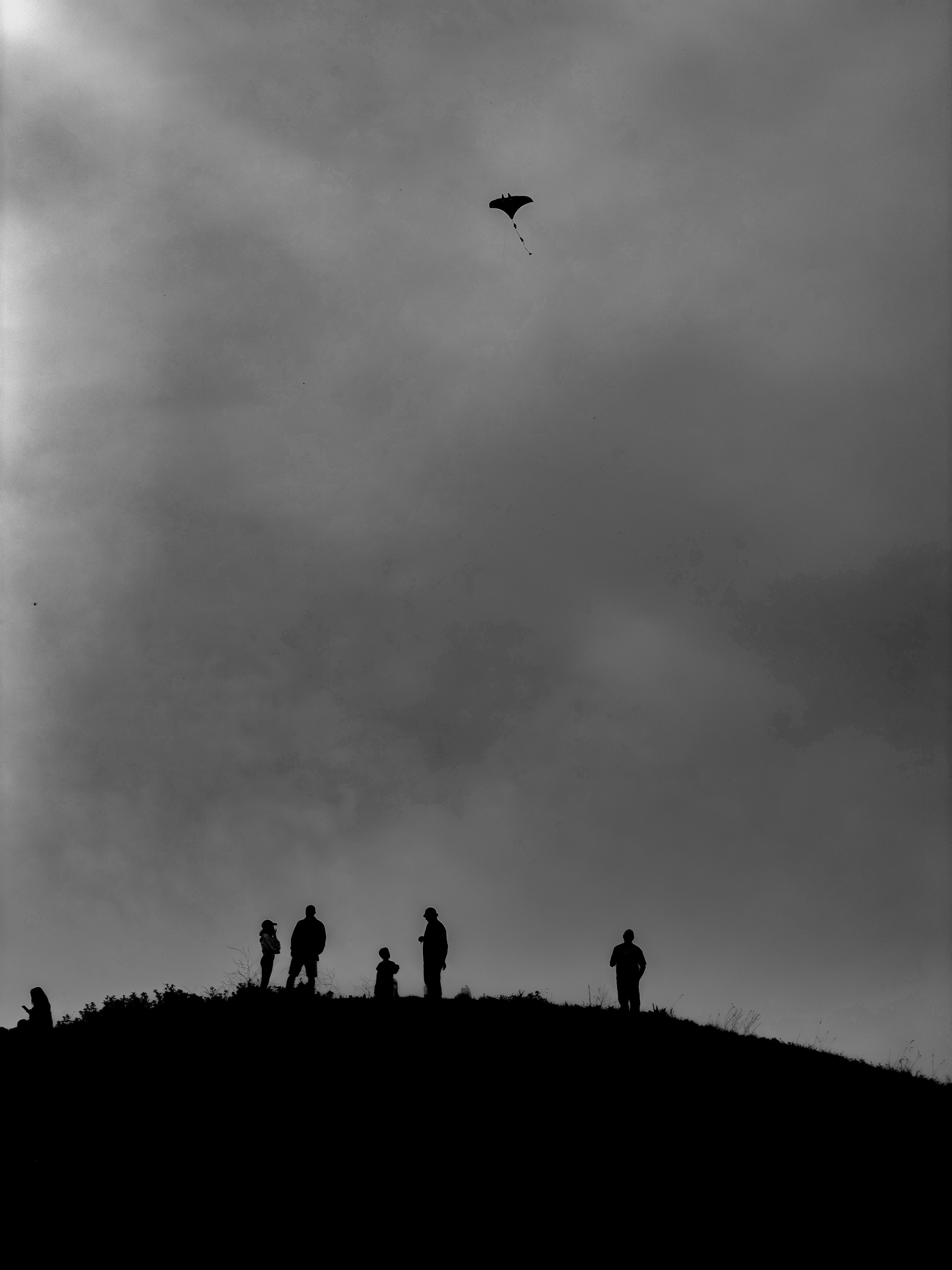 Silhouette Summit: A Quiet Moment Beneath a Distant Kite