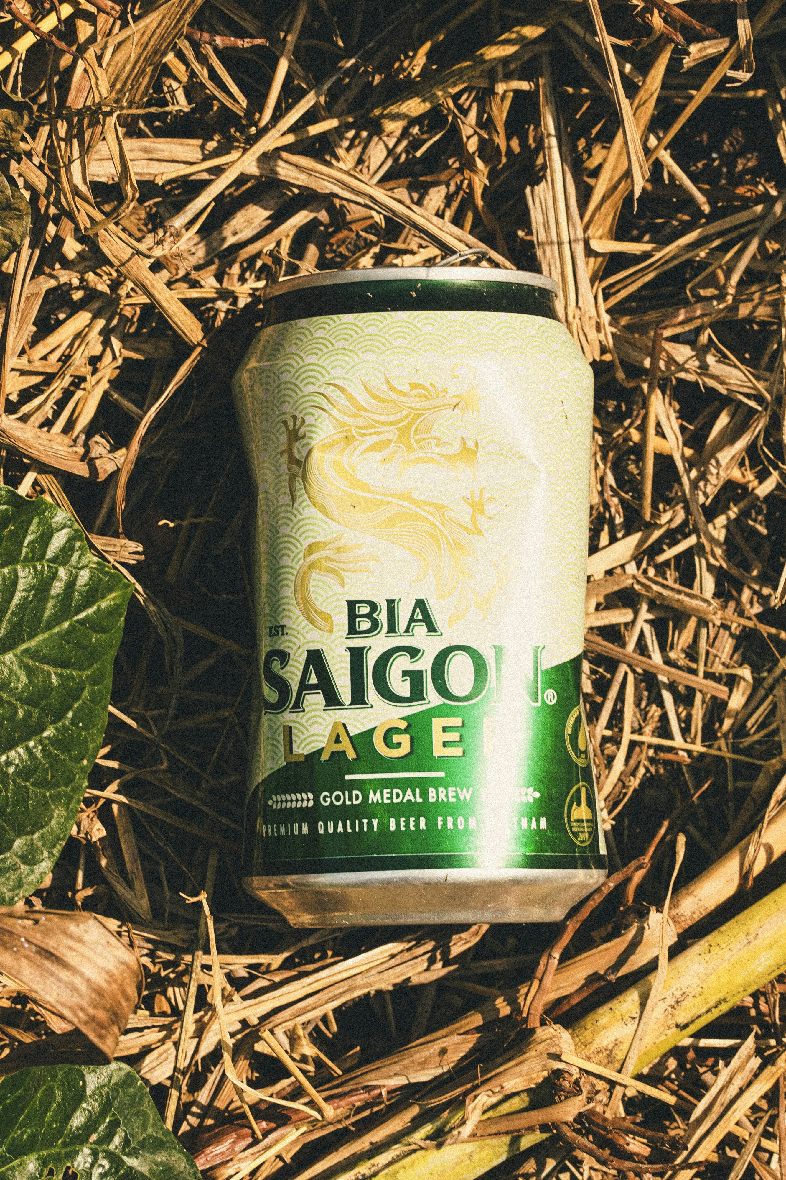 Gold Medal Brew Hidden Among Stalks