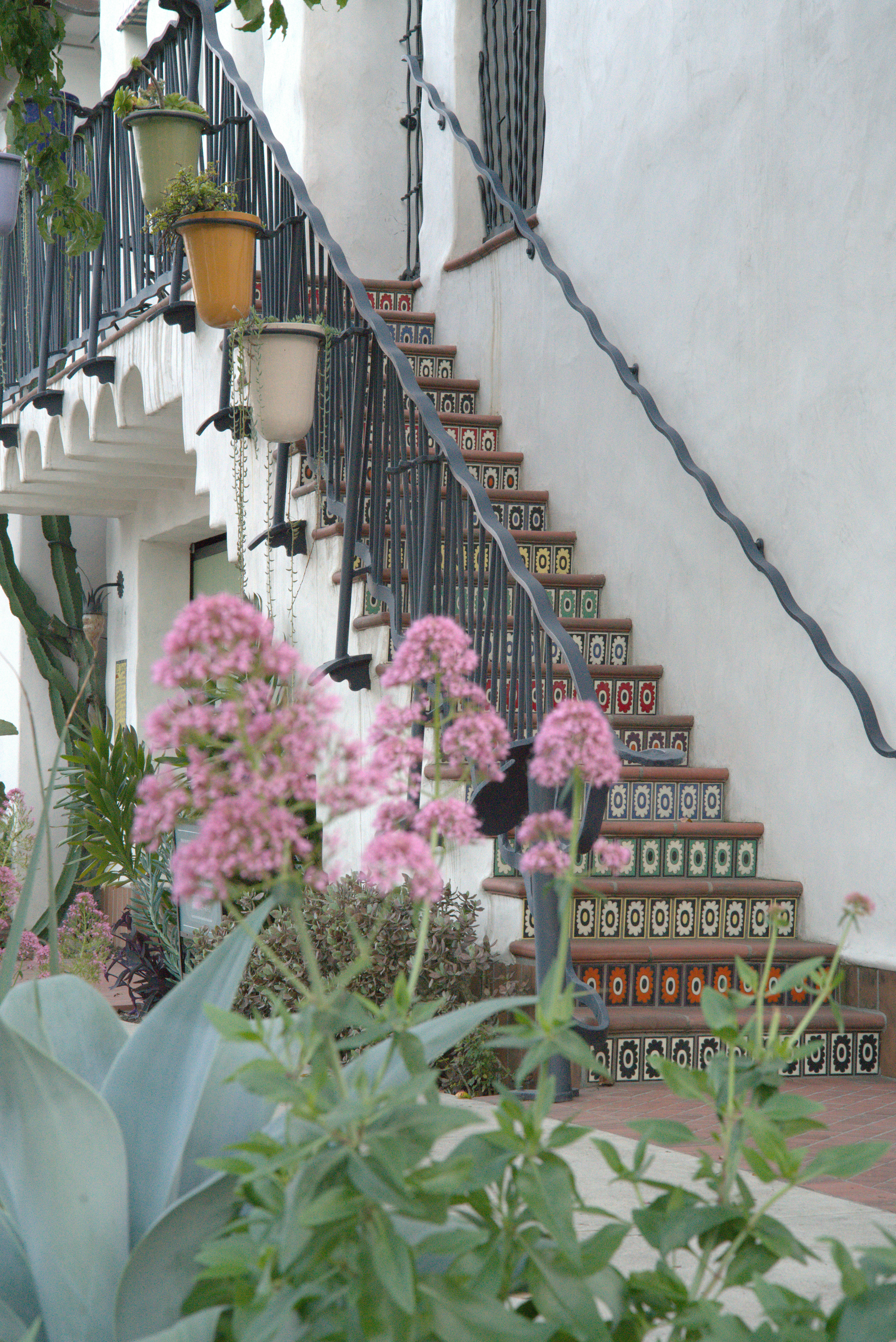 Colorful tiled staircase with hanging pots and blooming foreground