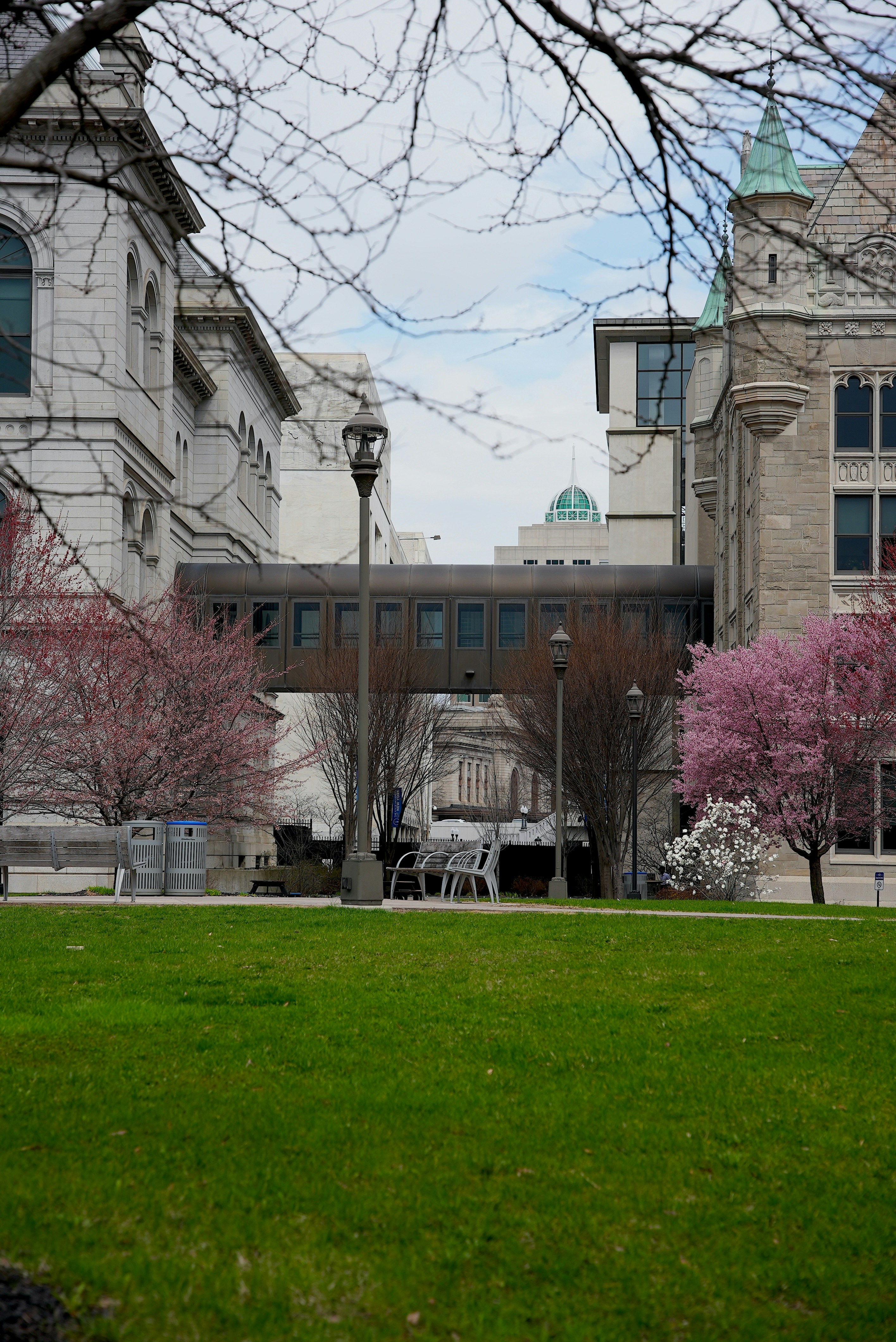 Spring Campus Pathway Between Granite Facades