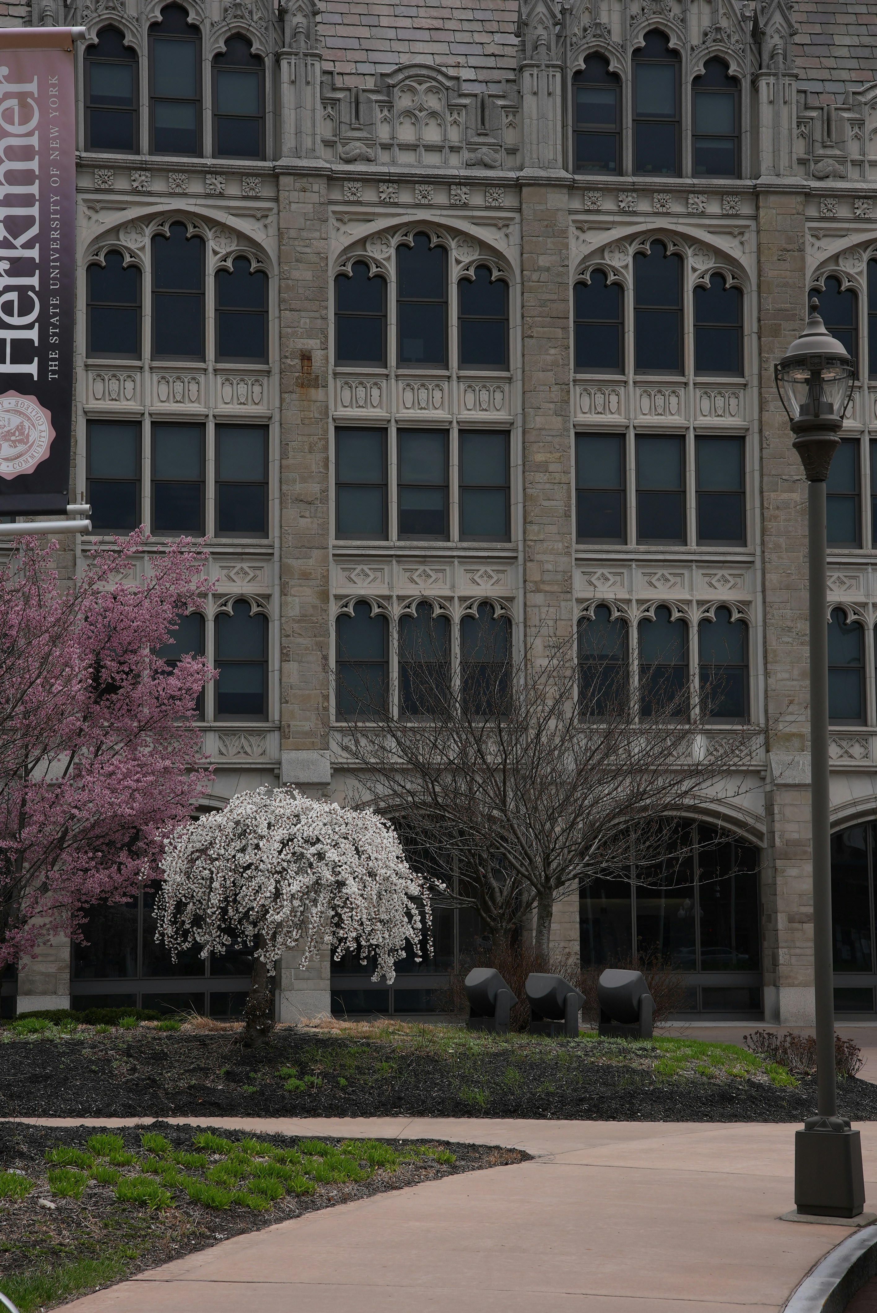 Blossoms at the Facade: A Quiet Moment by the Historic Wall