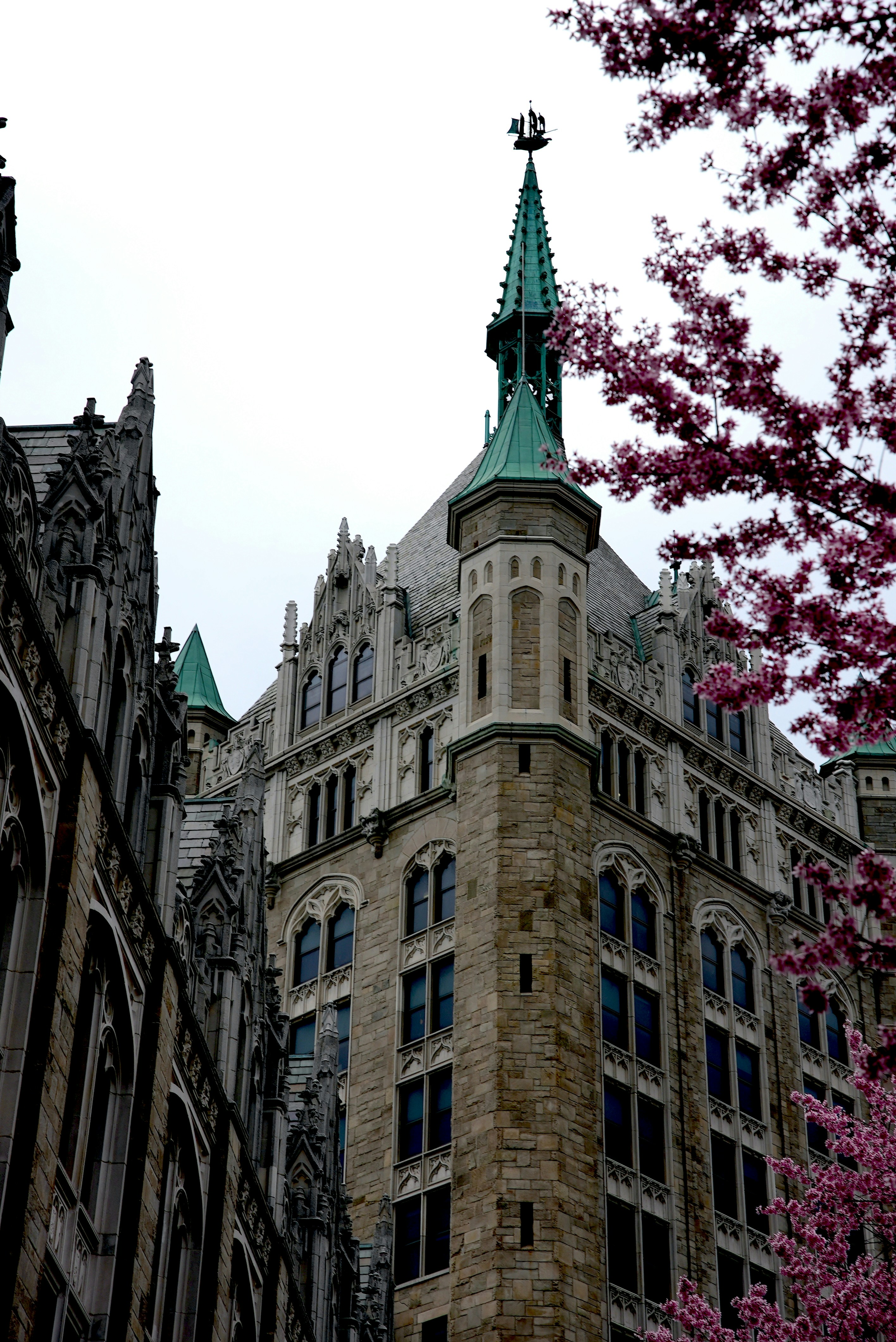 Gothic Facade Reaching Skyward amid Blossoms