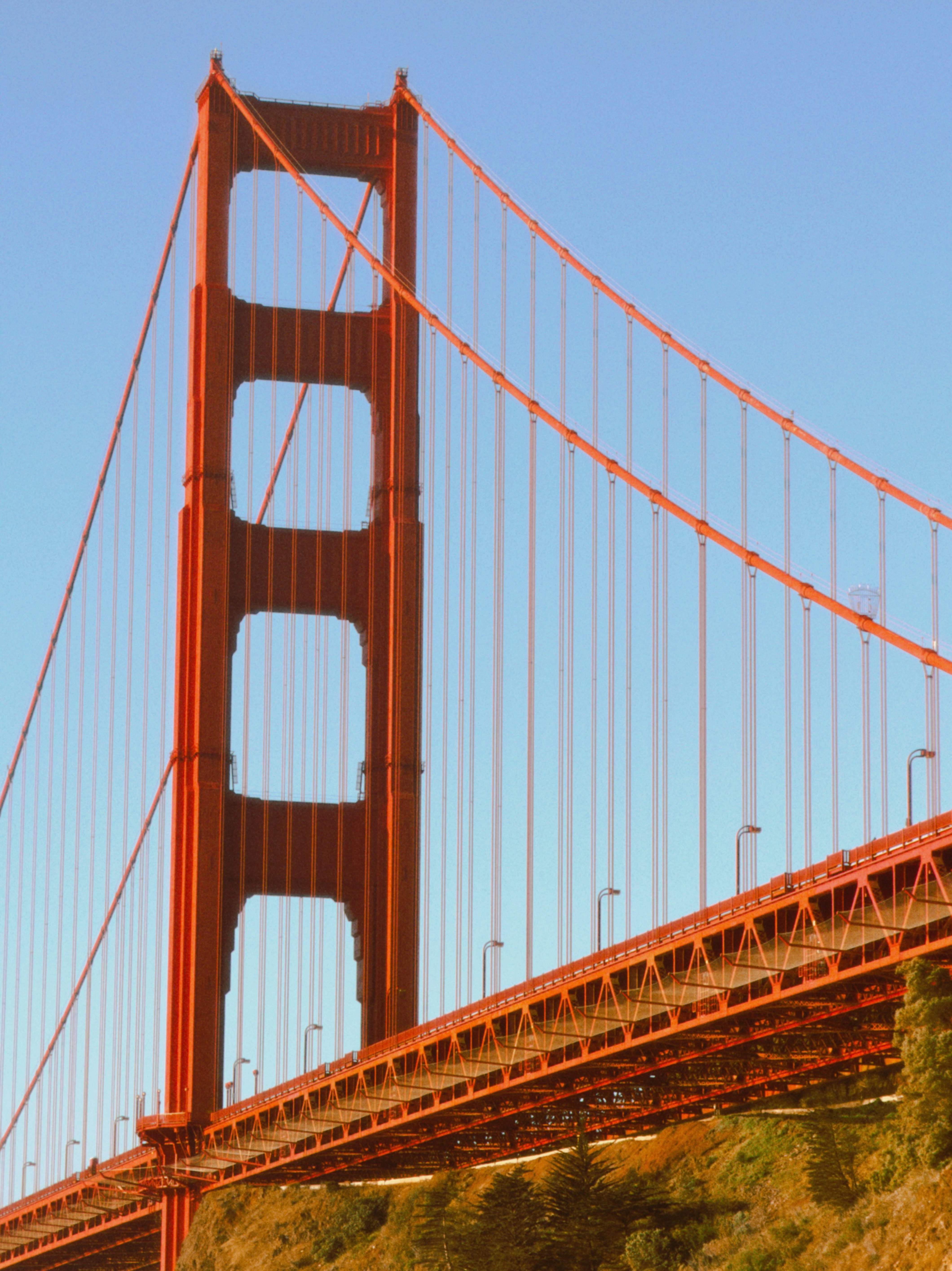Crimson Span: The Golden Gate Bridge Rises Against a Clear Sky