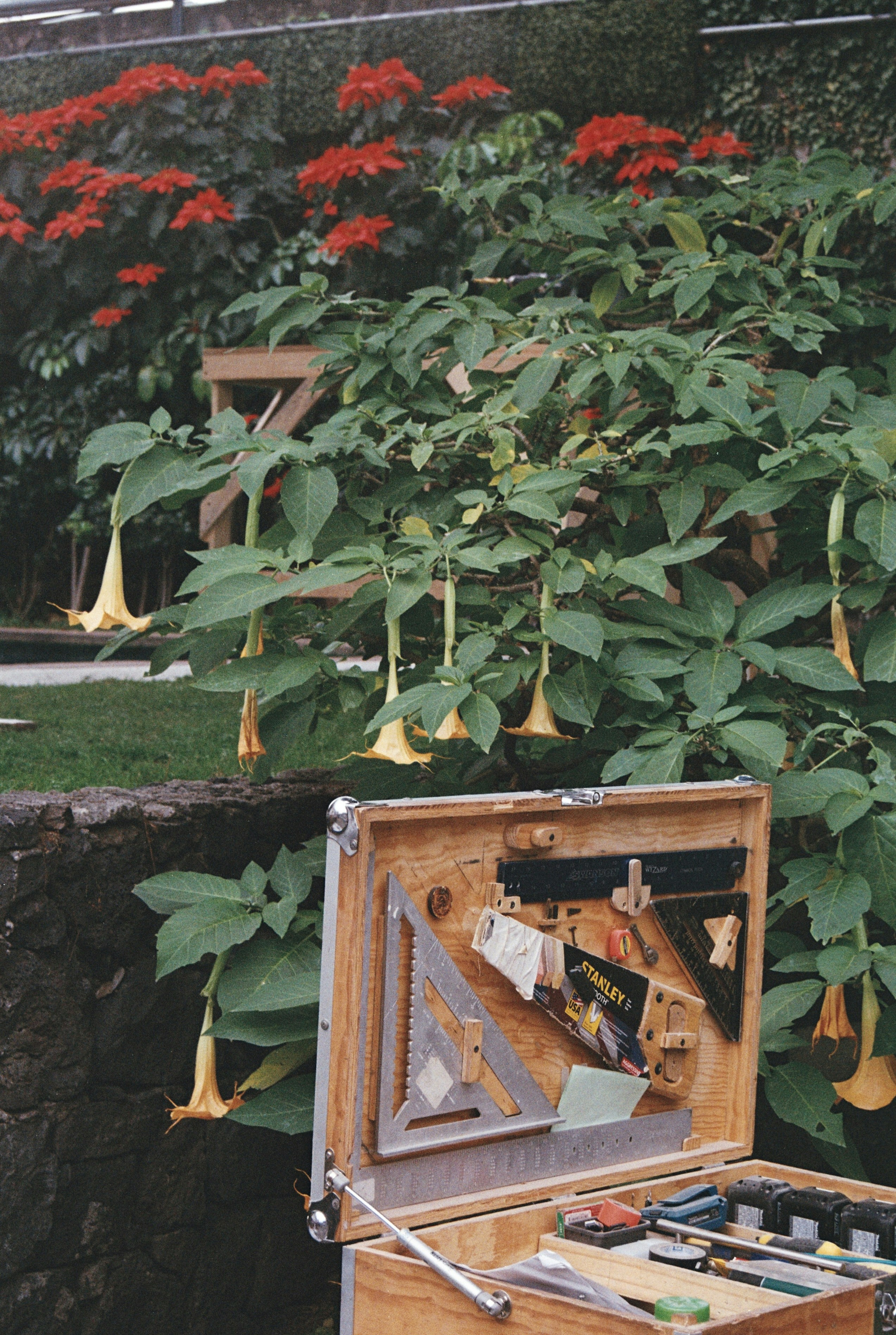 Workbench in a Verdant Garden: Brass Tools and Golden Hues