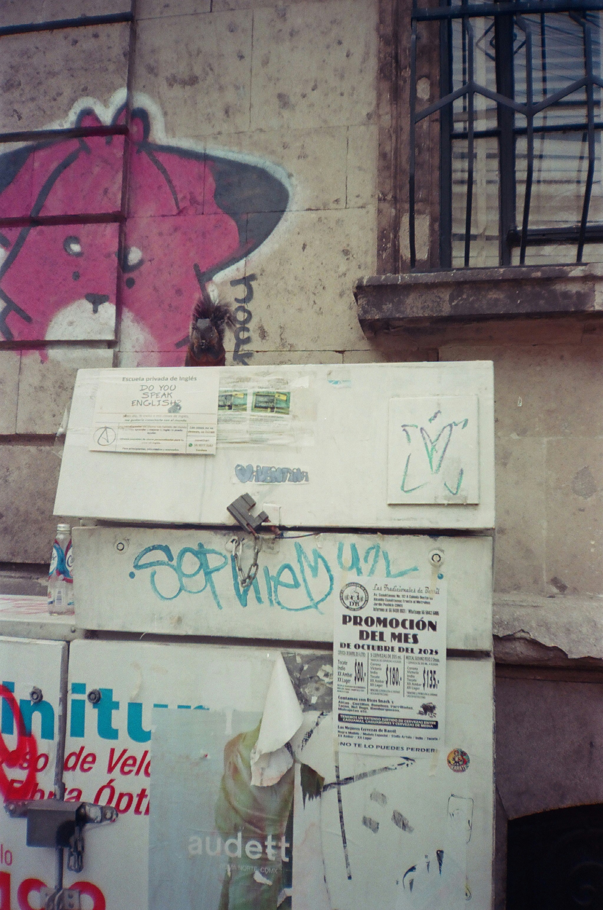 Urban Graffiti and Utility Box Portrait