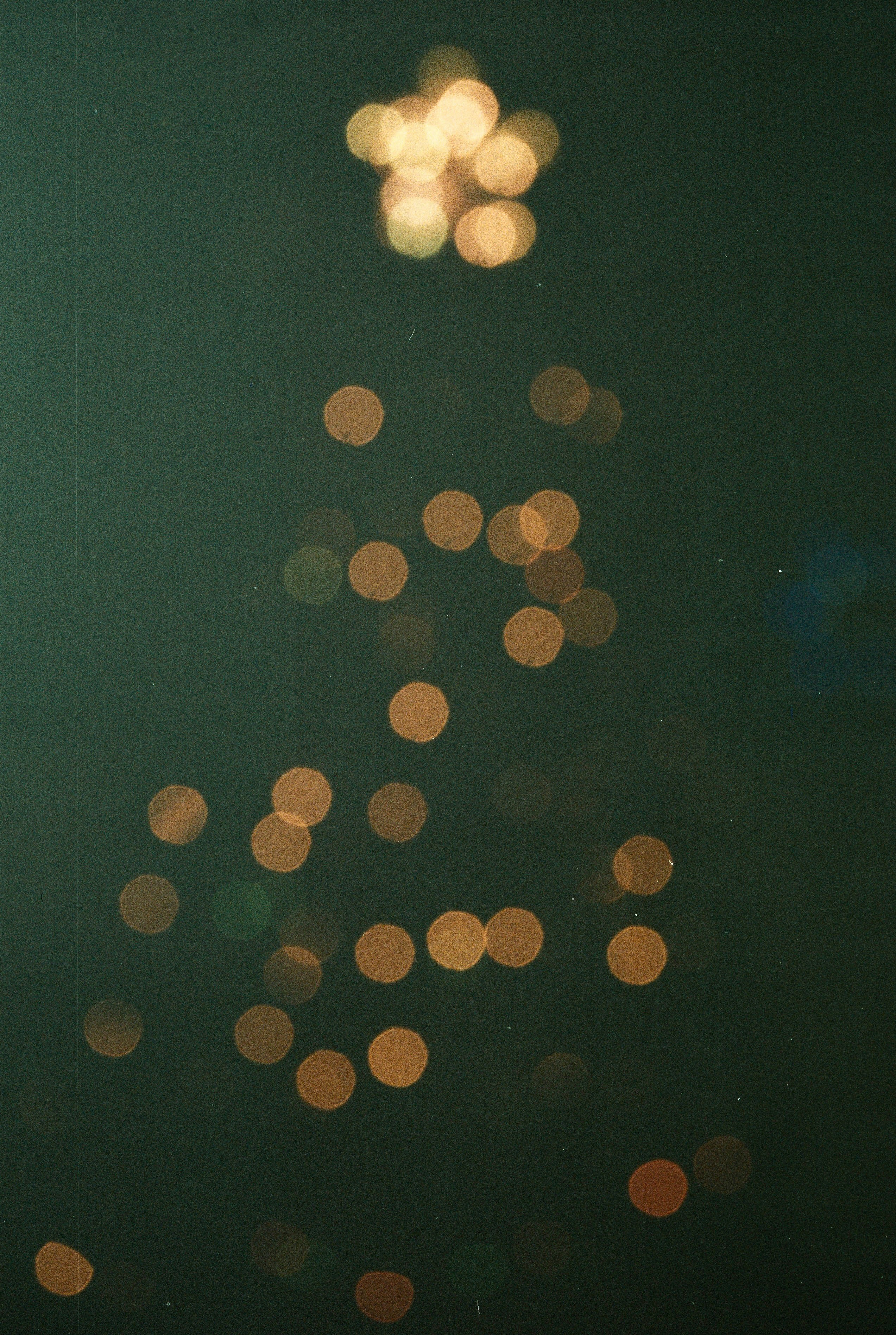 Soft Bokeh Tree Lights in Night Blur