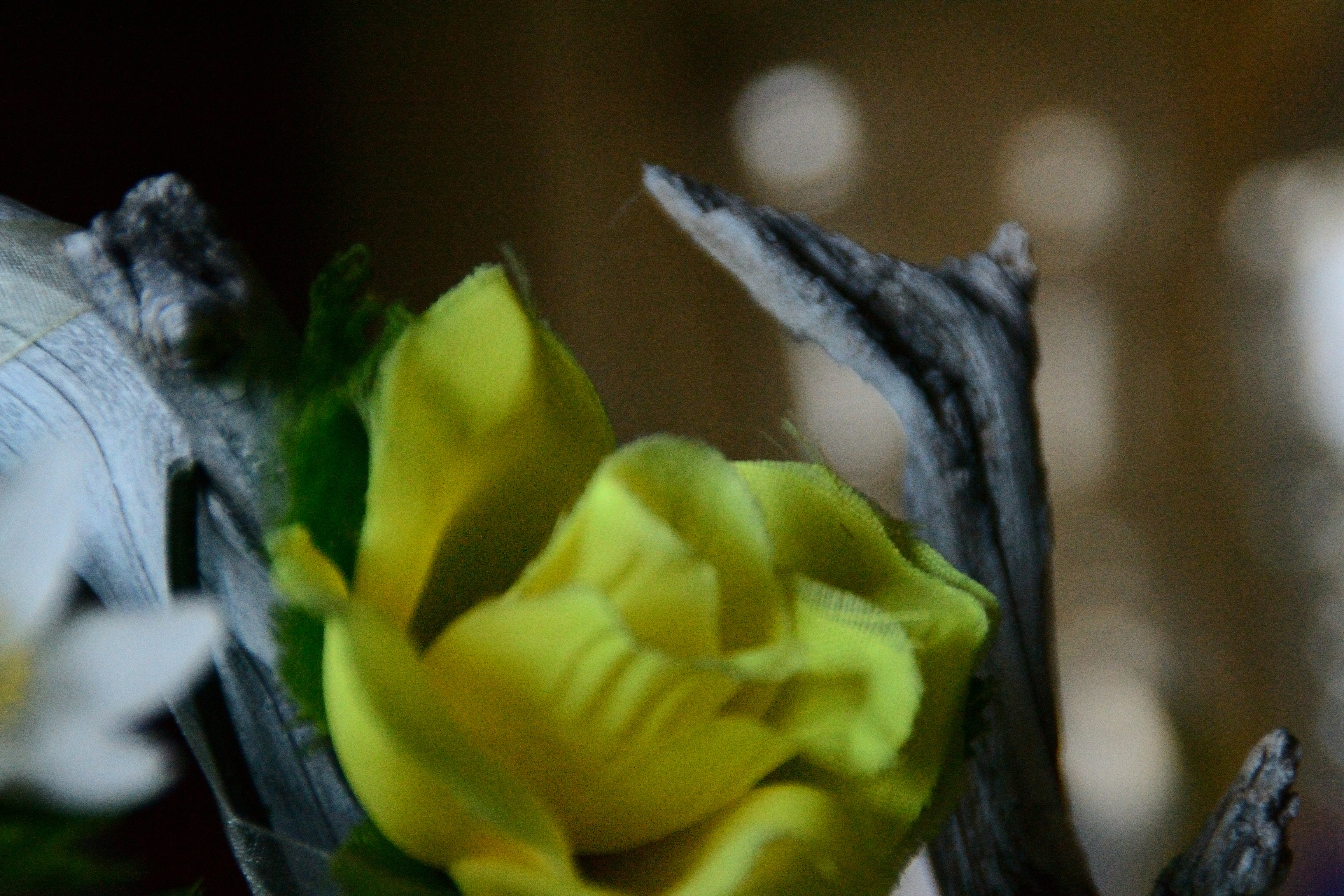 Yellow Rose in a Charred Frame