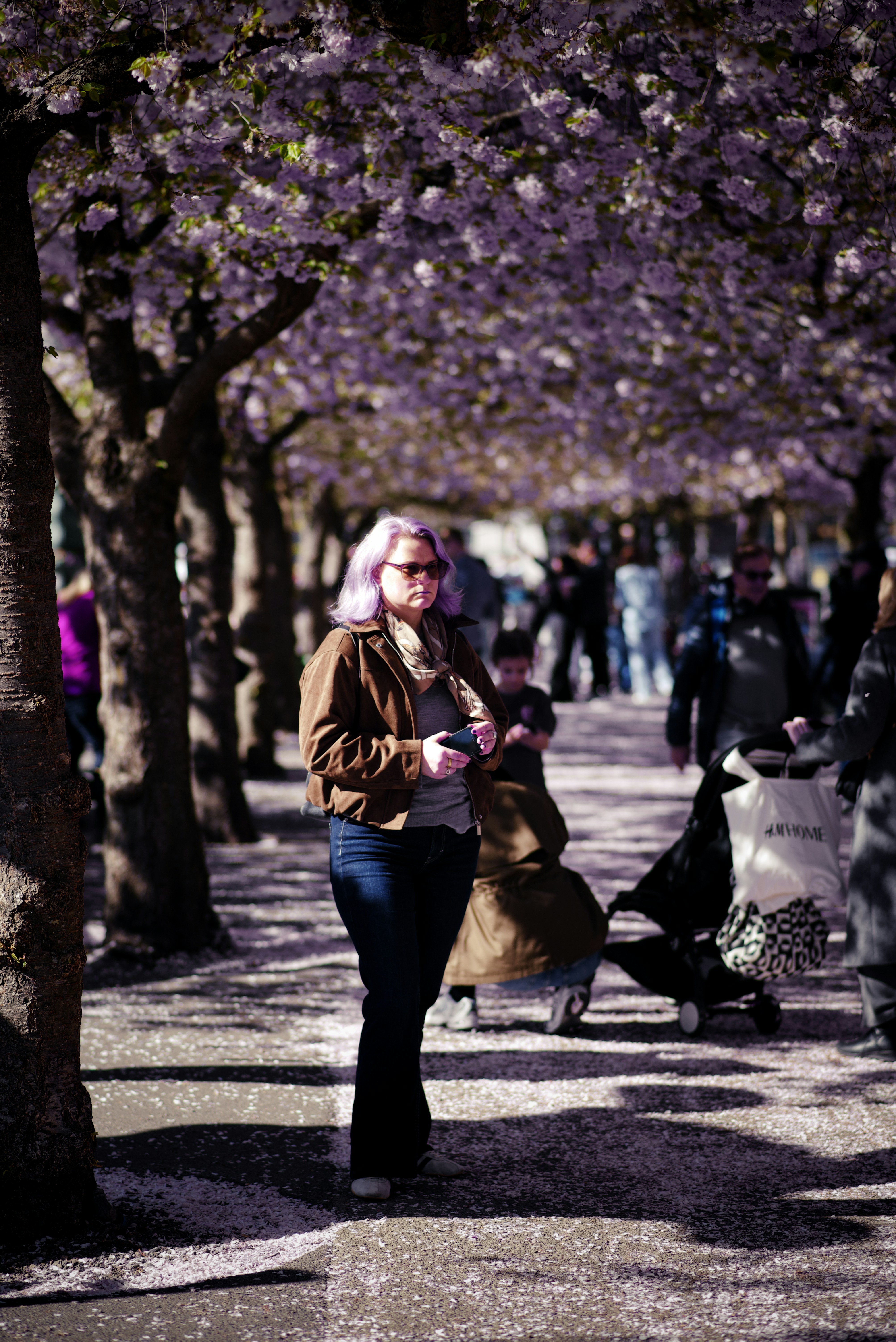 Purple-Flowered Avenue: A Moment Beneath Blooms