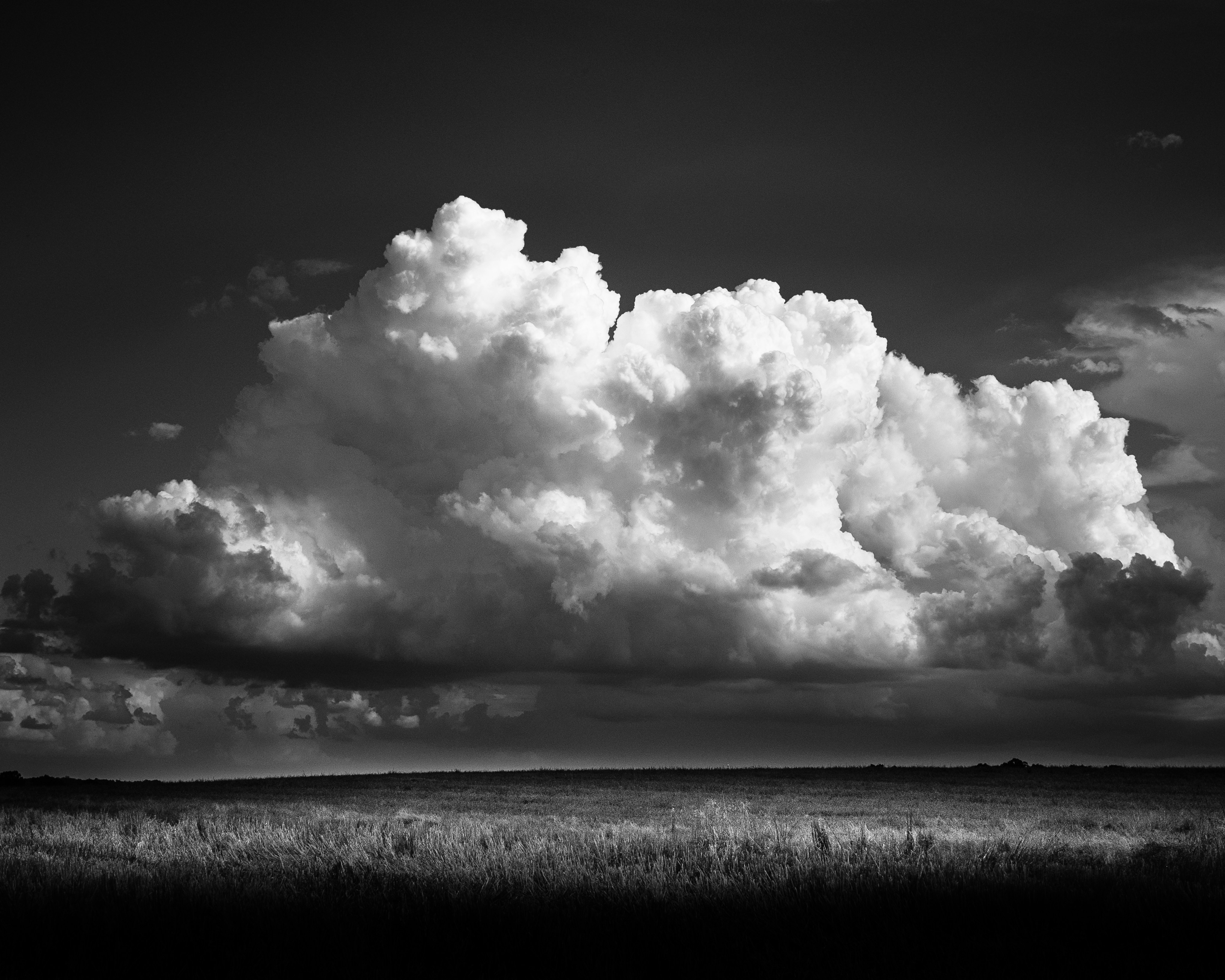 Monolithic Cloud Over a Quiet Grassland