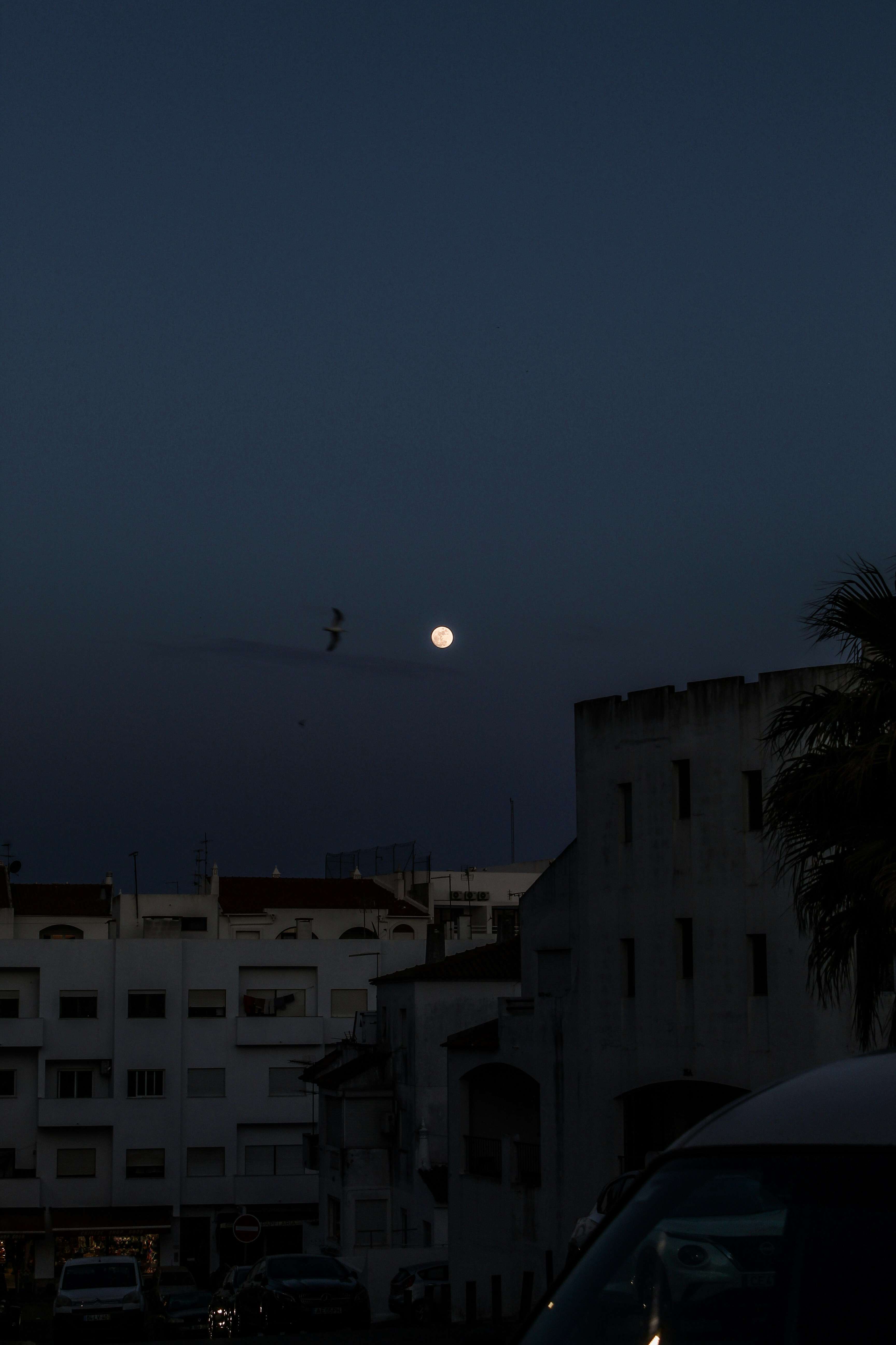 Moonrise Over the Urban Nightscape