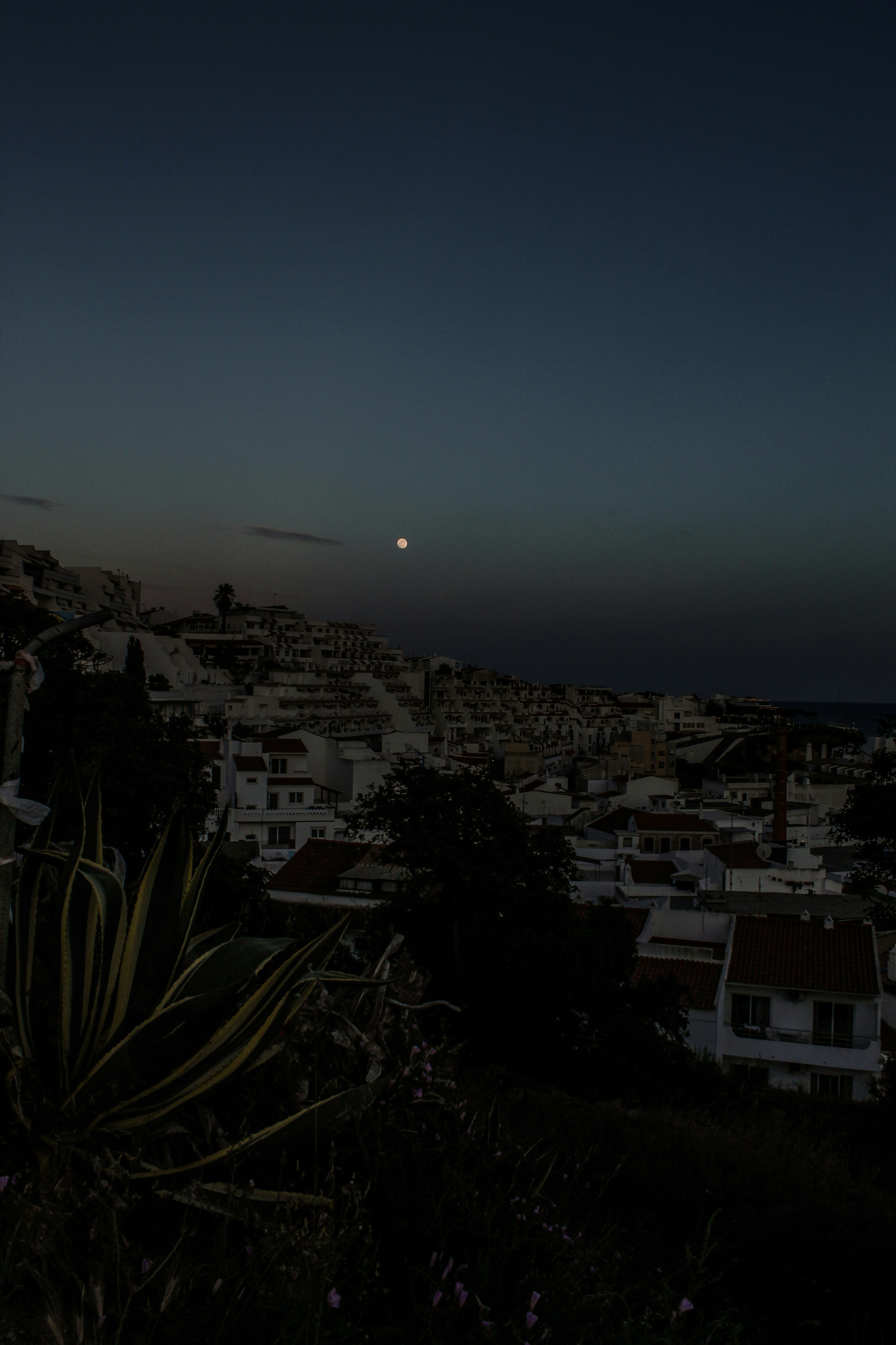 Moonrise Over the Coastal Town