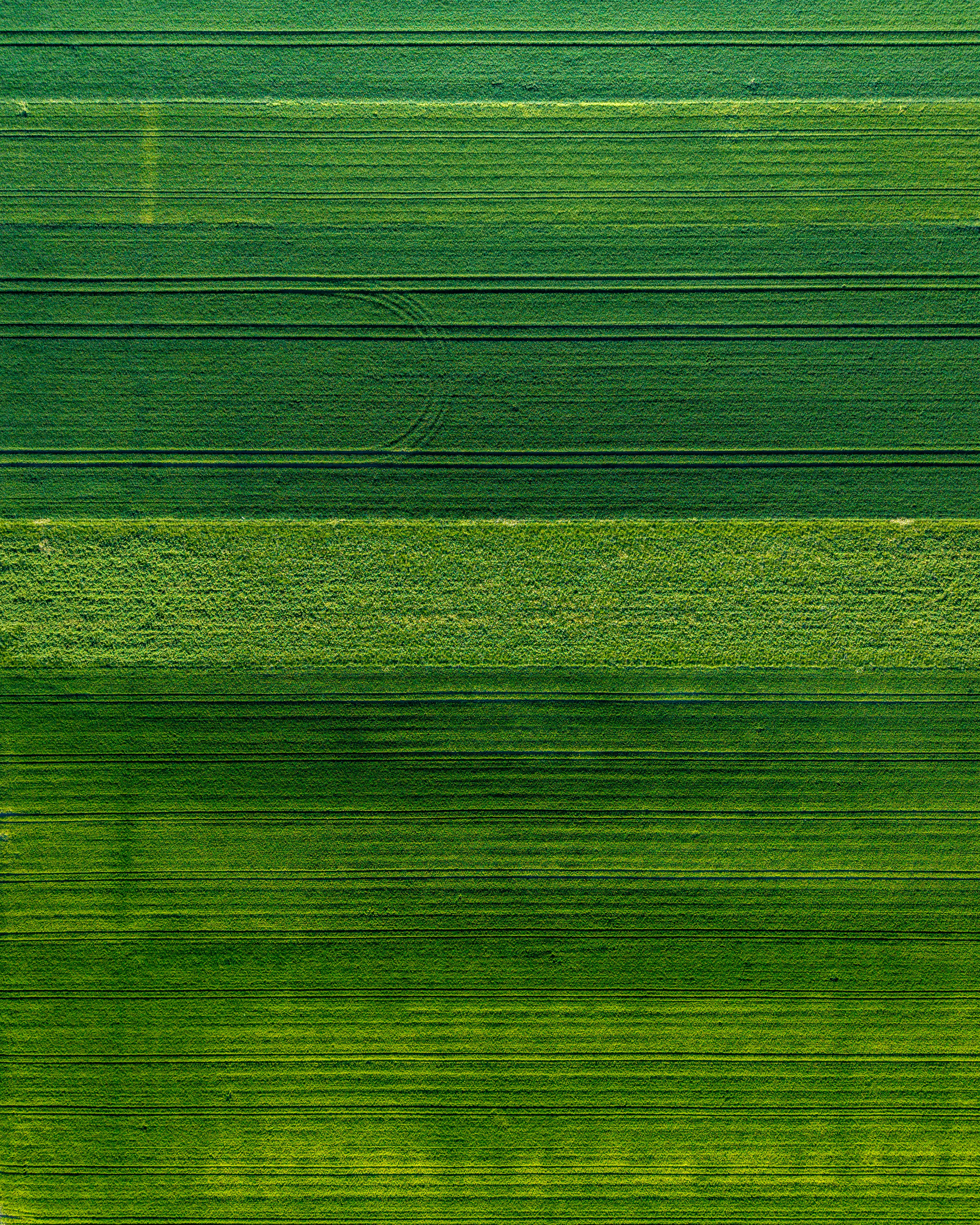 Geometric Fields: Aerial Strata of Green