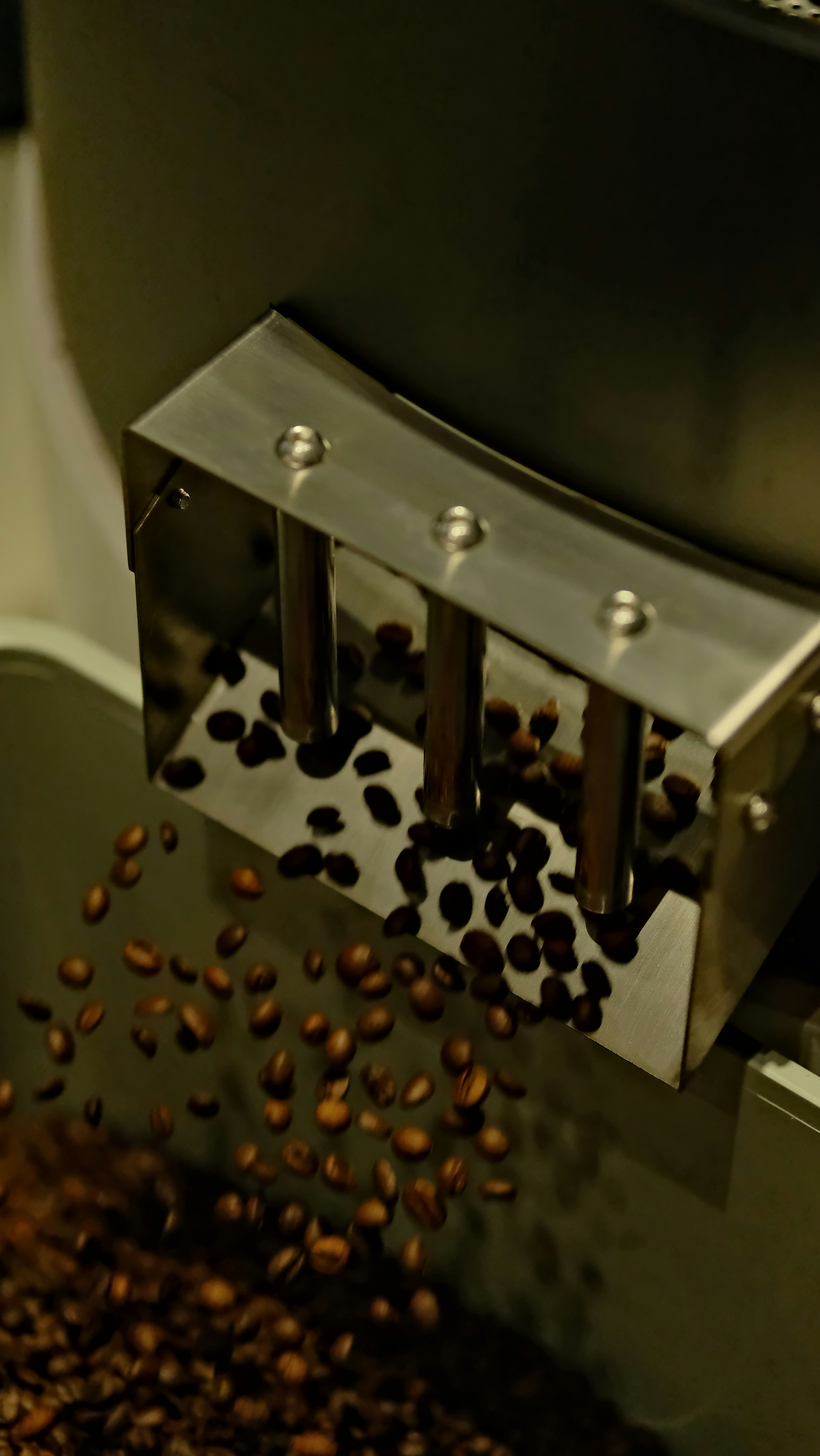Steel Apron, Roasted Secrets: A Close Peek at a Coffee Bean Separator