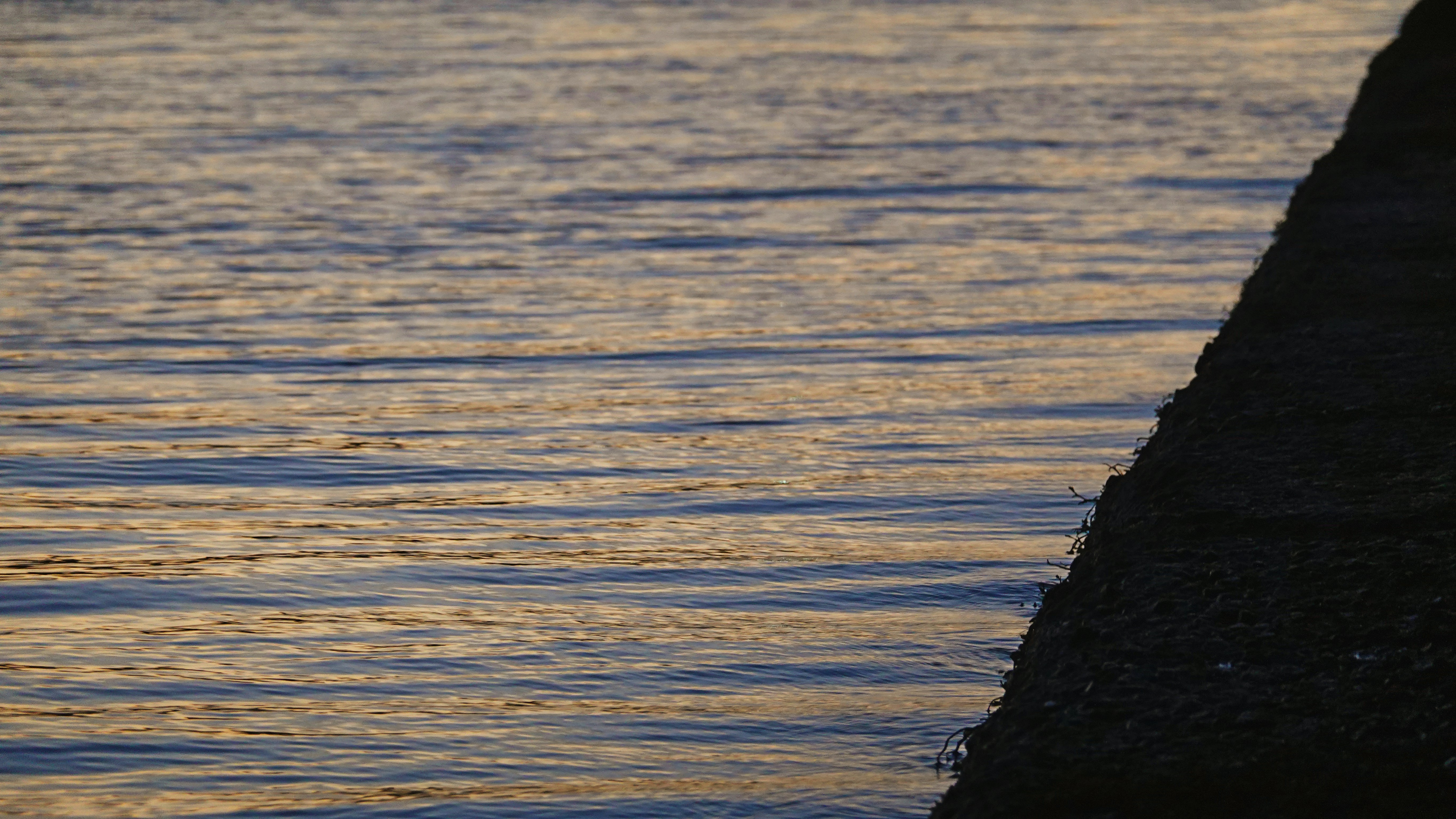 Golden Ripples at Dusk by the Pier