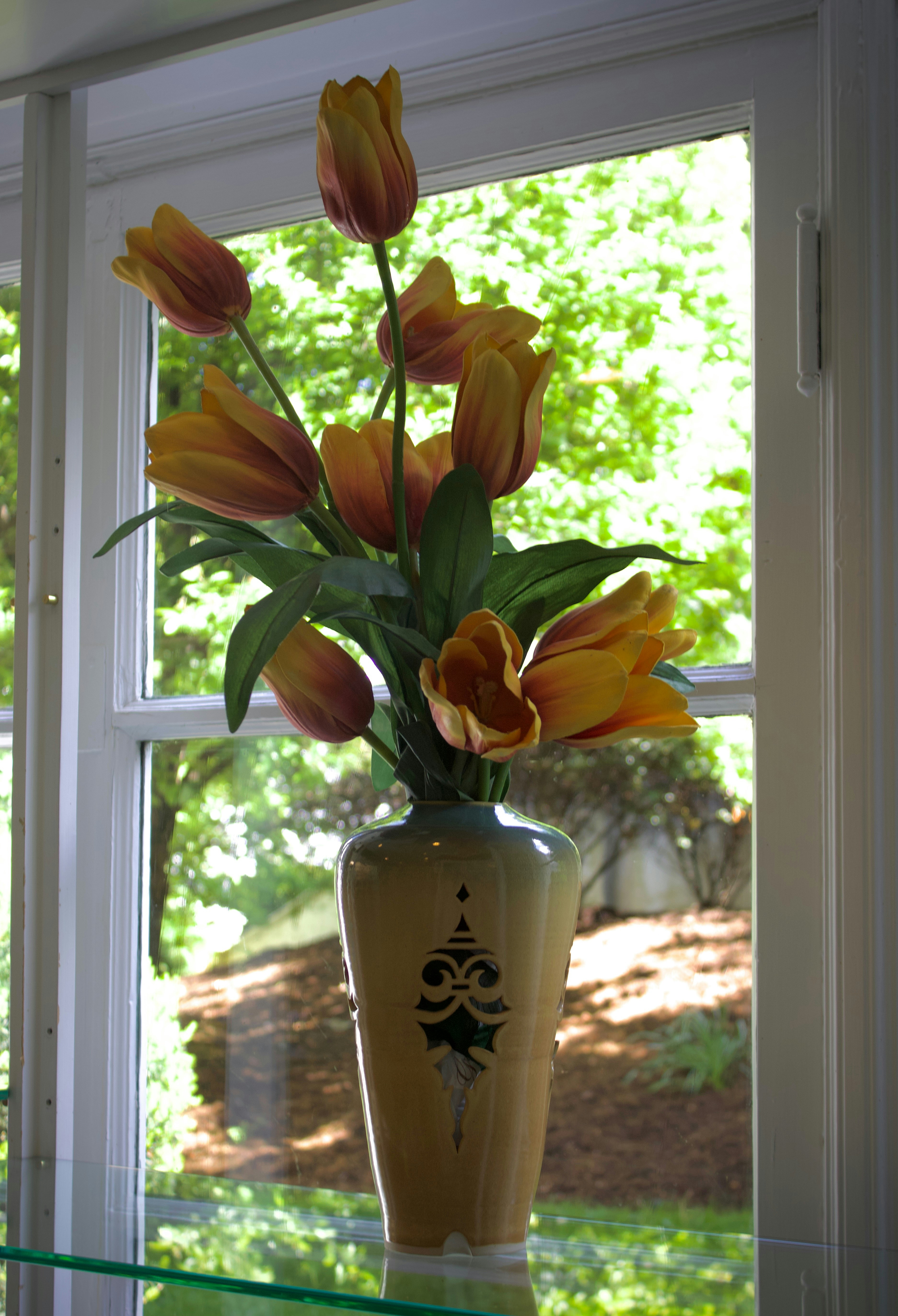Tulip Bouquet in Sunlit Window Vase