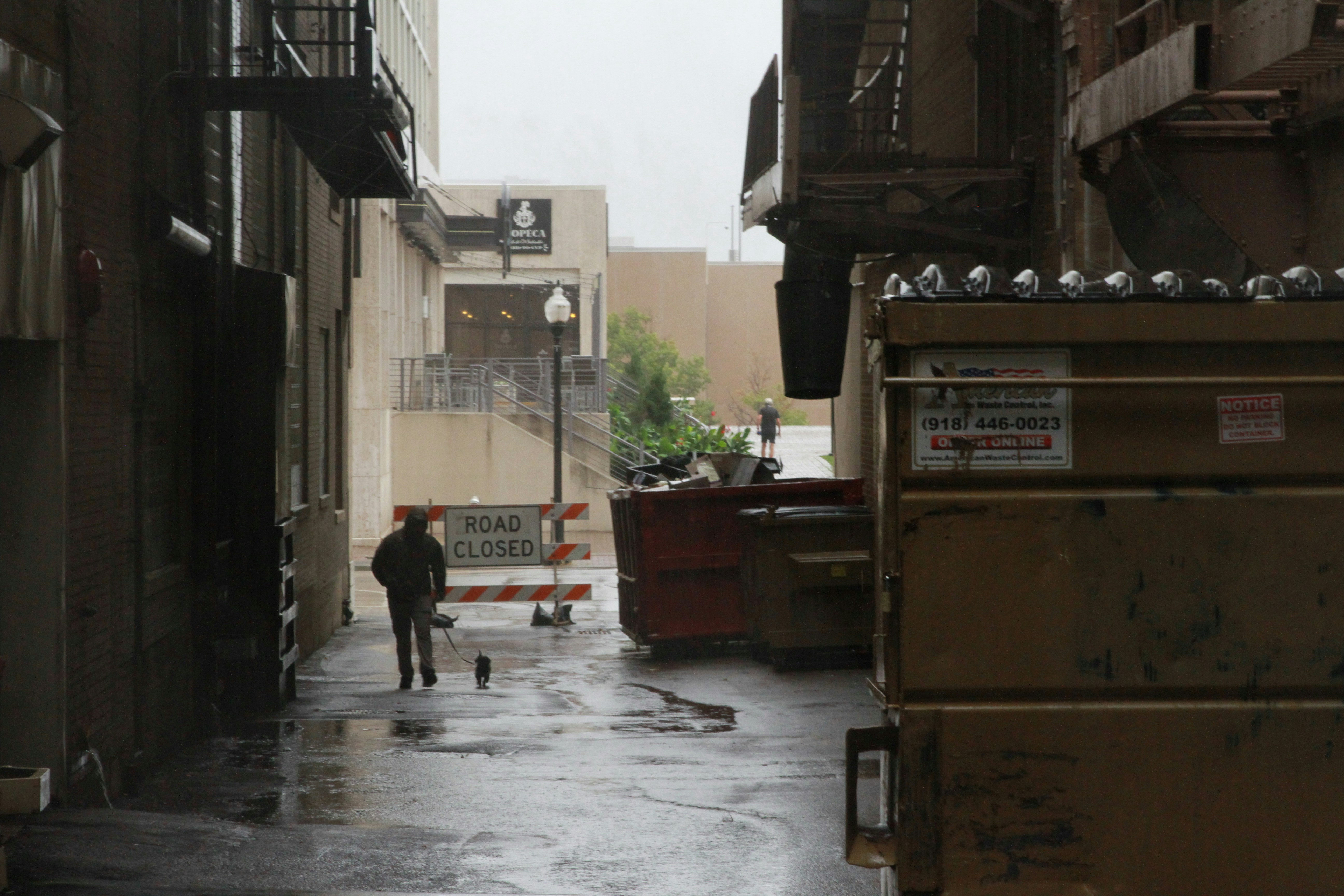 Alleyway Interlude: A Quiet Window of Rain