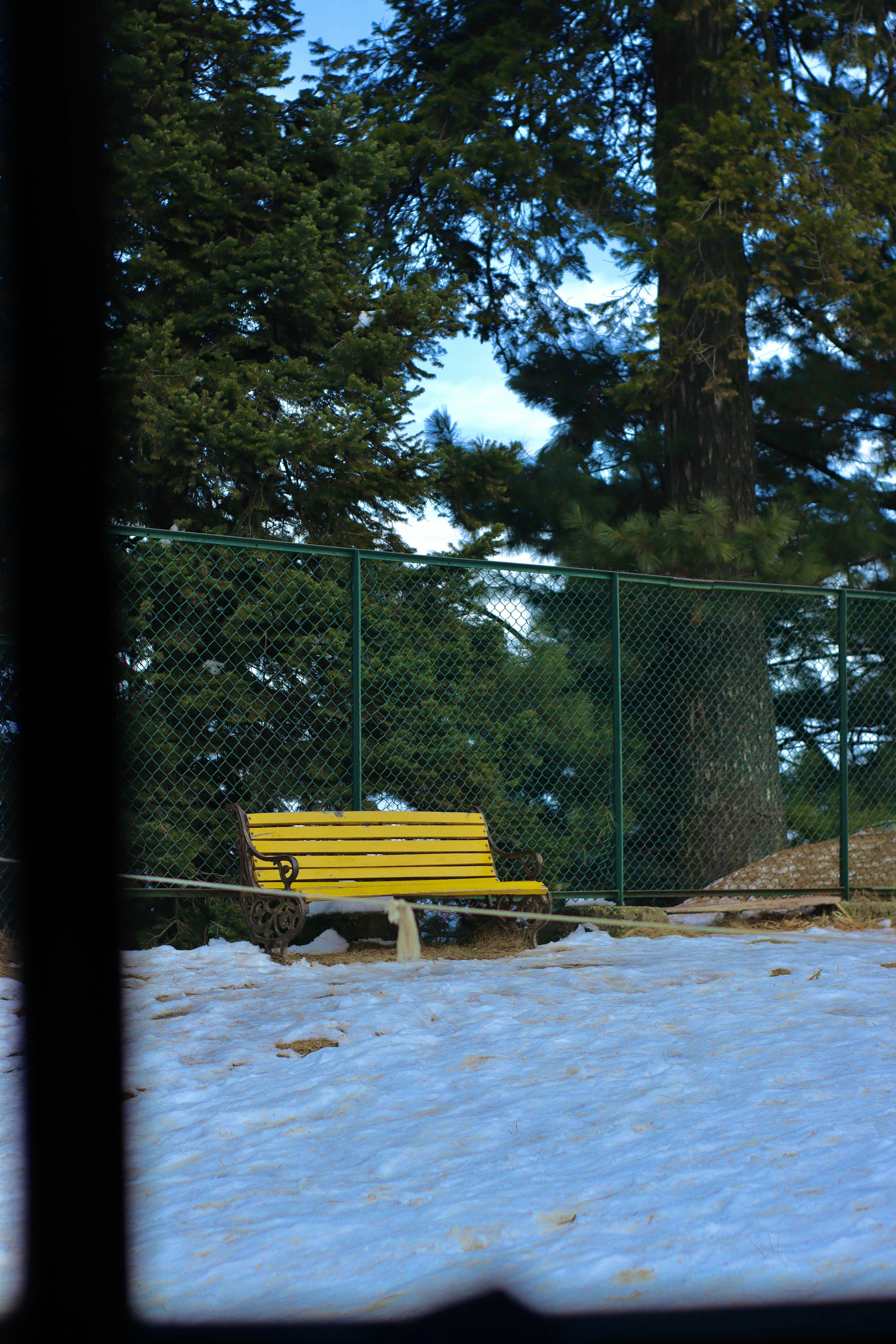 Sunny Bench in Snow: a Quiet Moment at the Fence