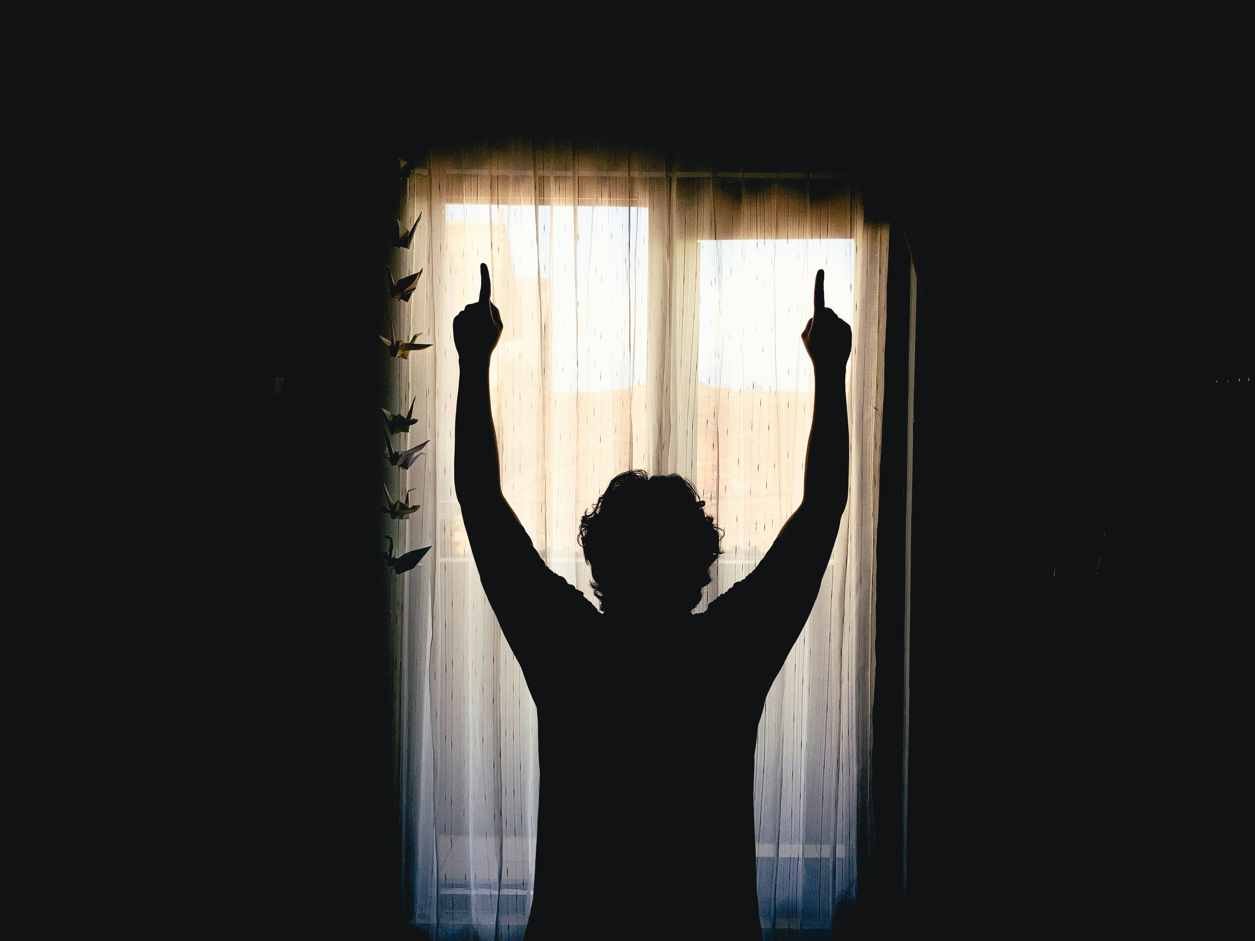 Raised Silhouette: A Moment of Silent Celebration