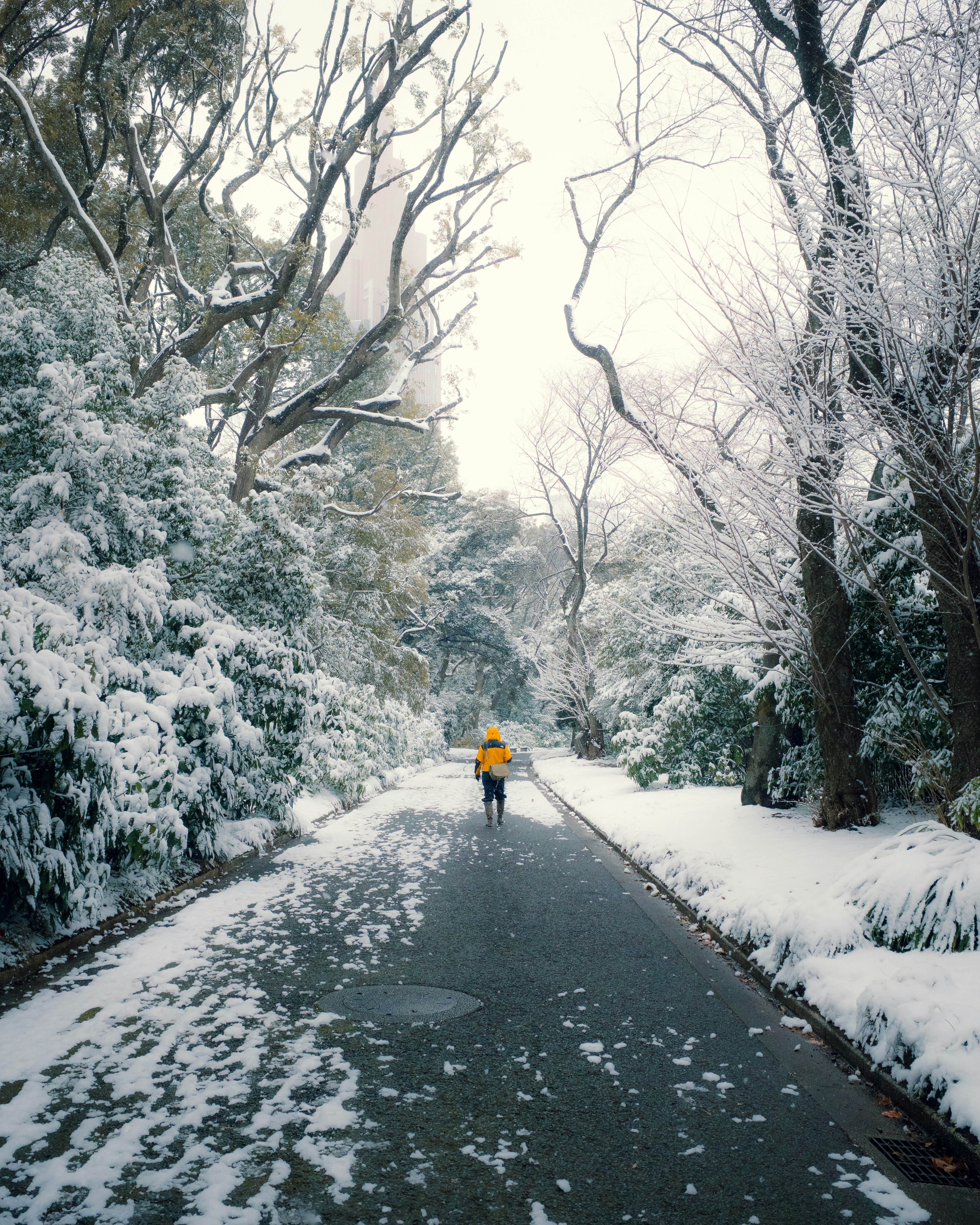 Winter Street: A Lone Cyclist Traverses a Snow-Swept Path