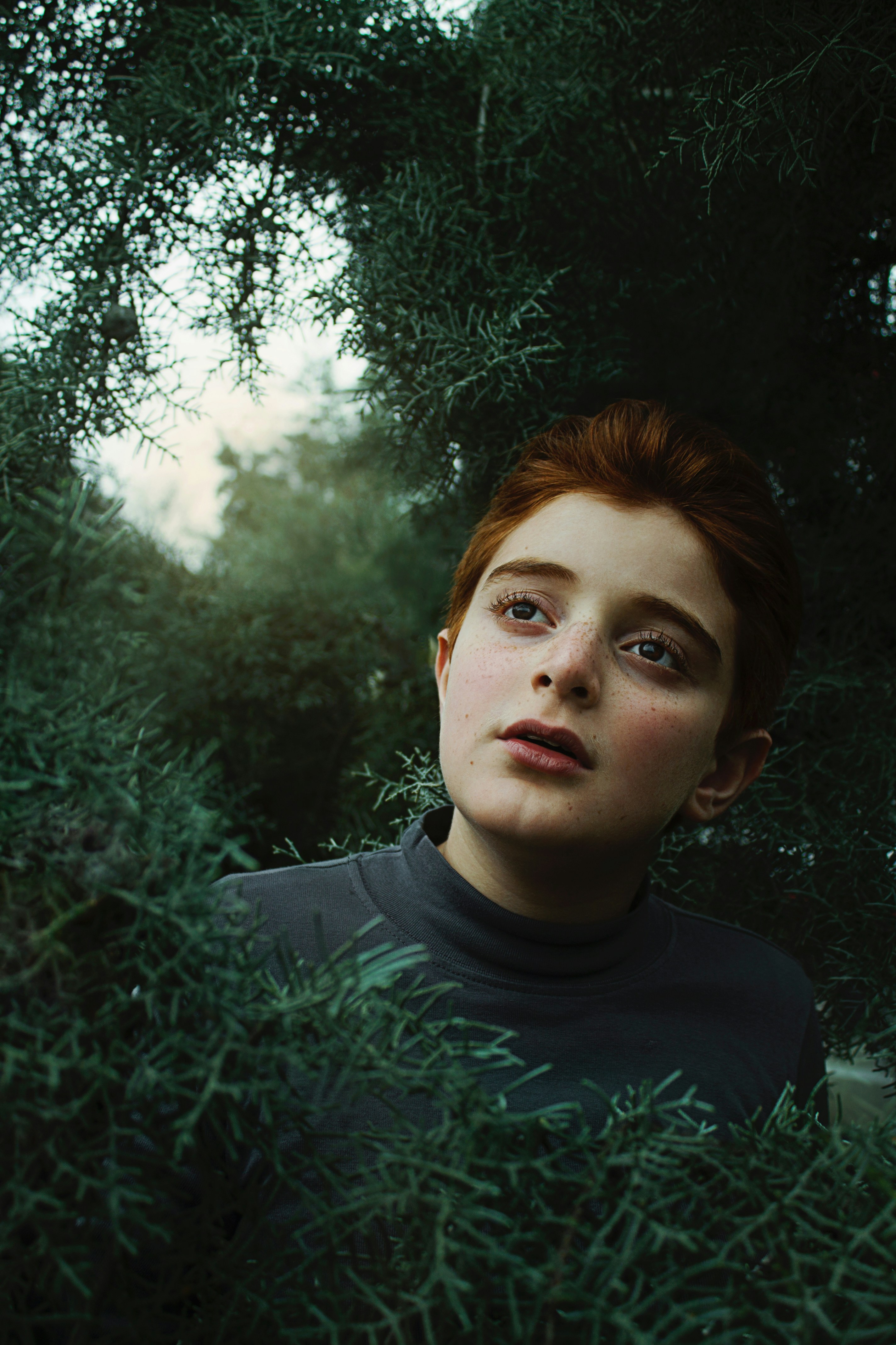 Wistful Portrait Framed by Evergreen Veil
